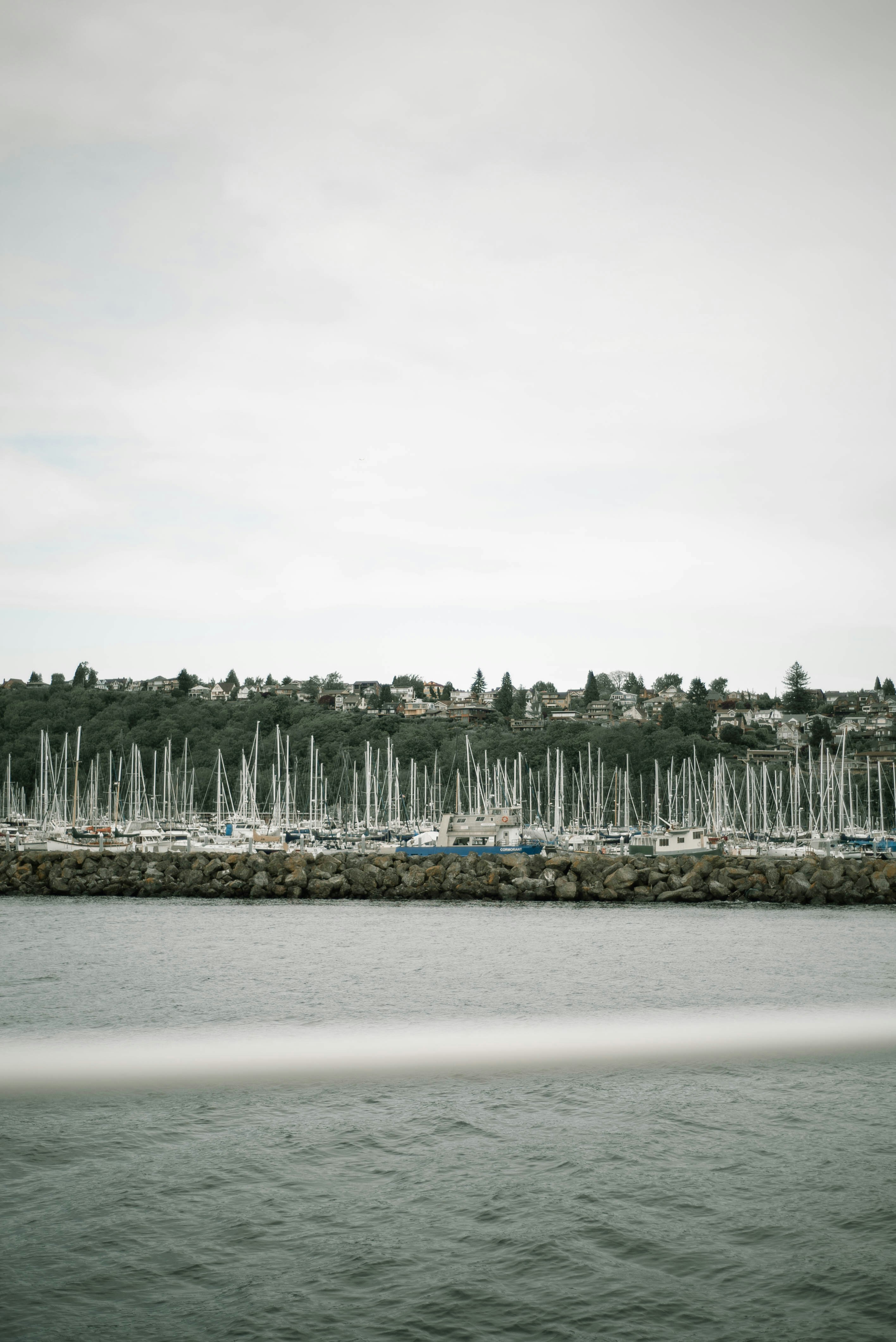 Marina Lines: A Horizon of Sails Beyond the Breakwater
