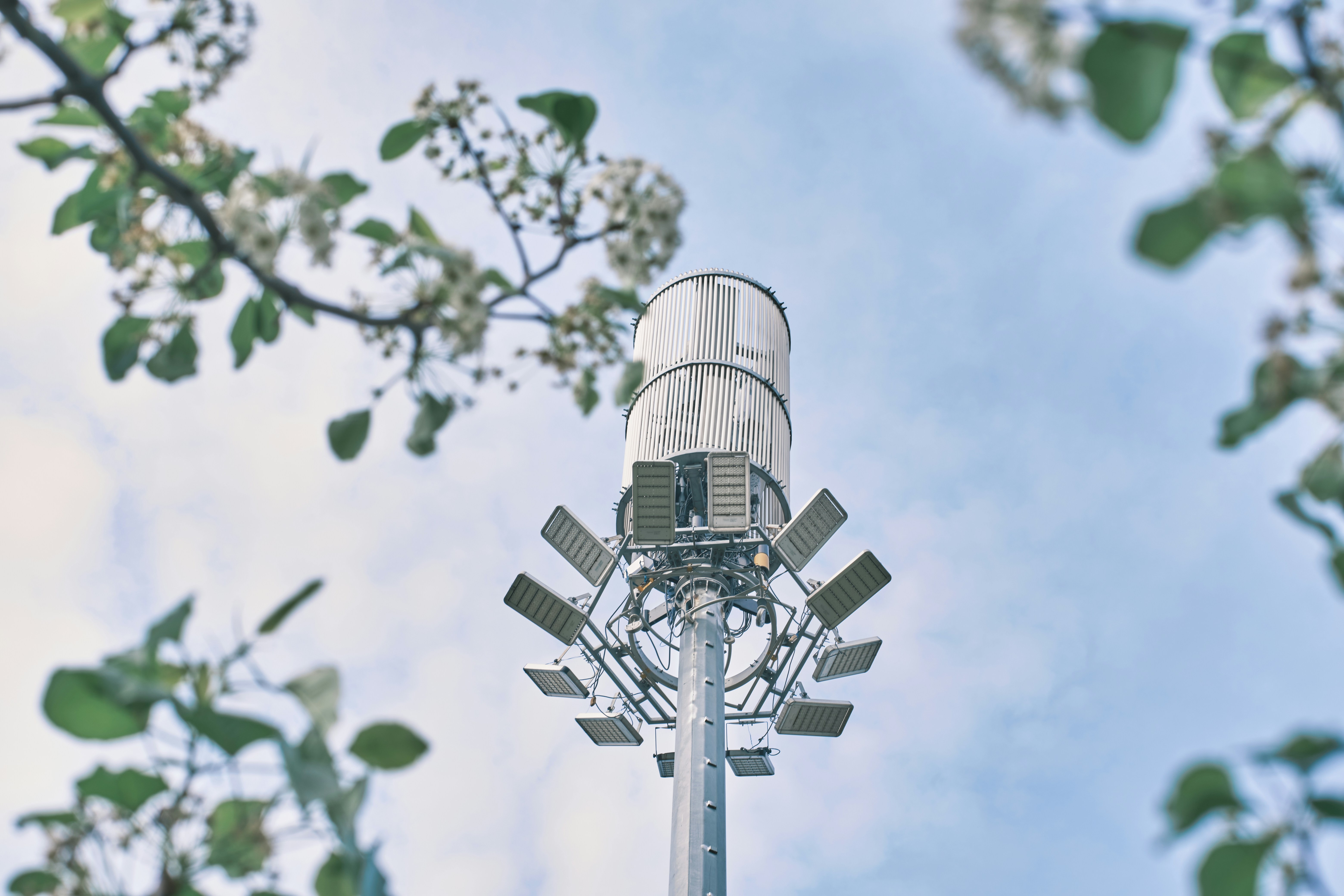 Black and white lamp post photo – Free Blue Image on Unsplash