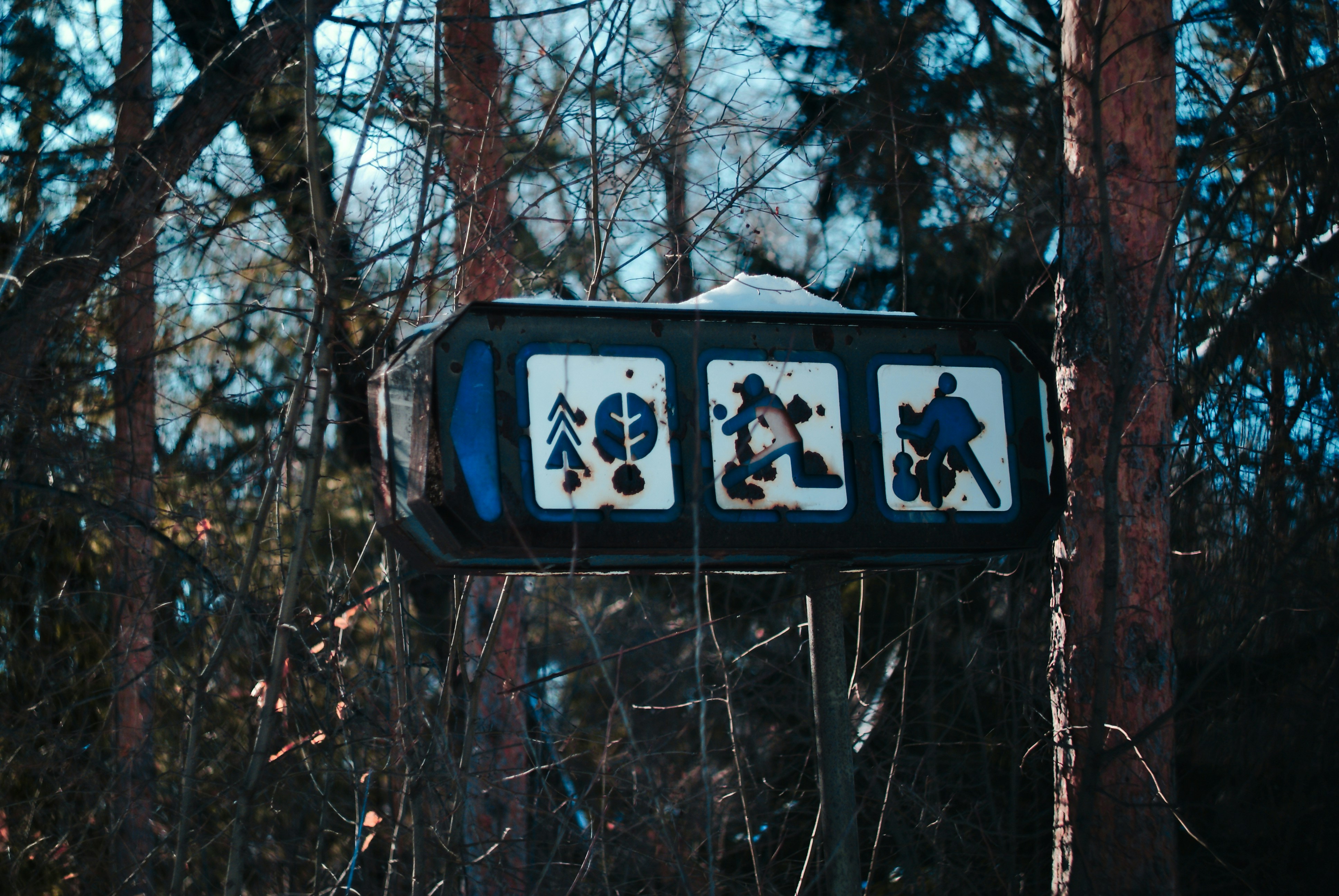 Sample photo from Sony Alpha 100