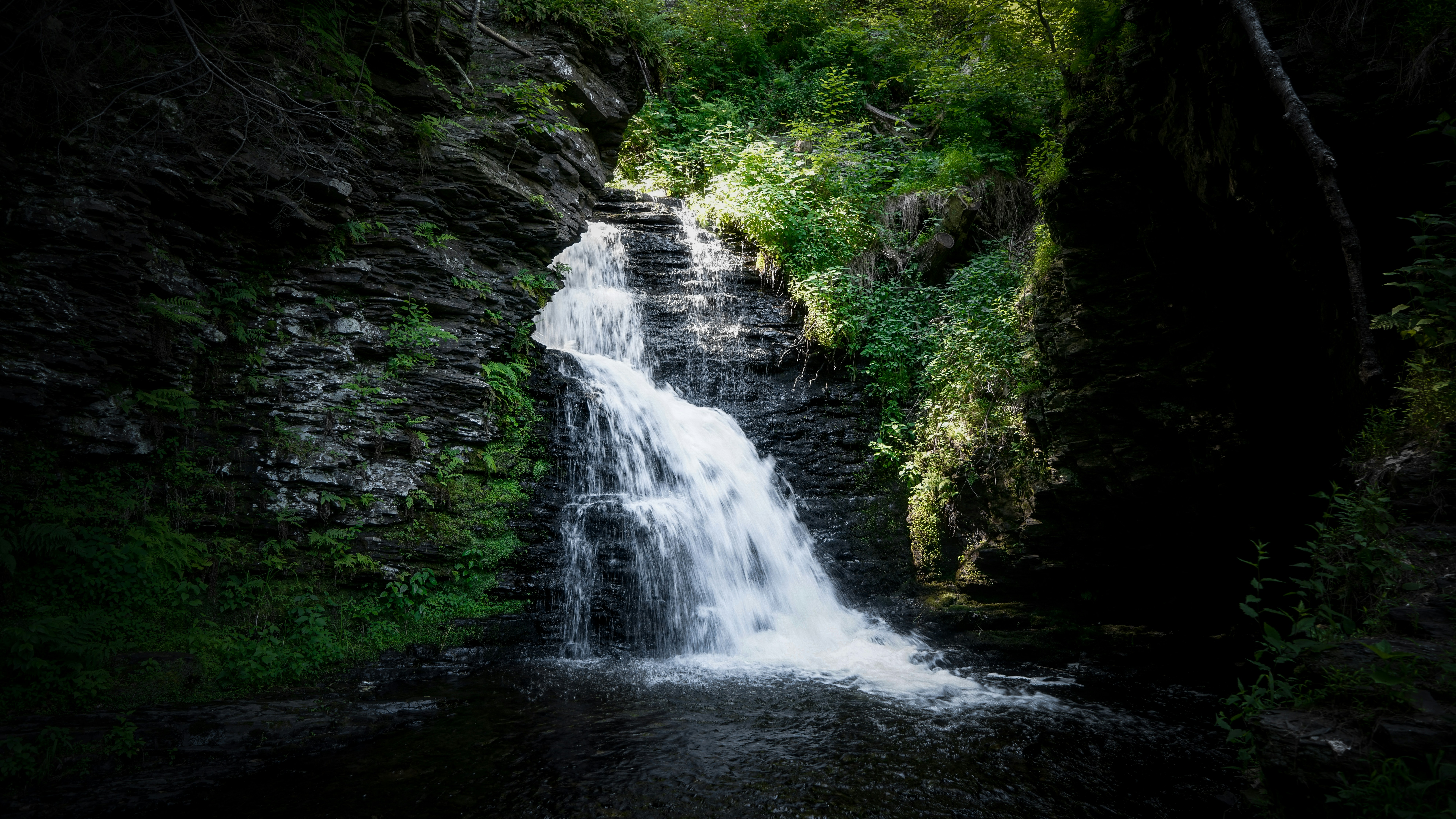 10 Most beautiful Forests in India - Discover Walks Blog