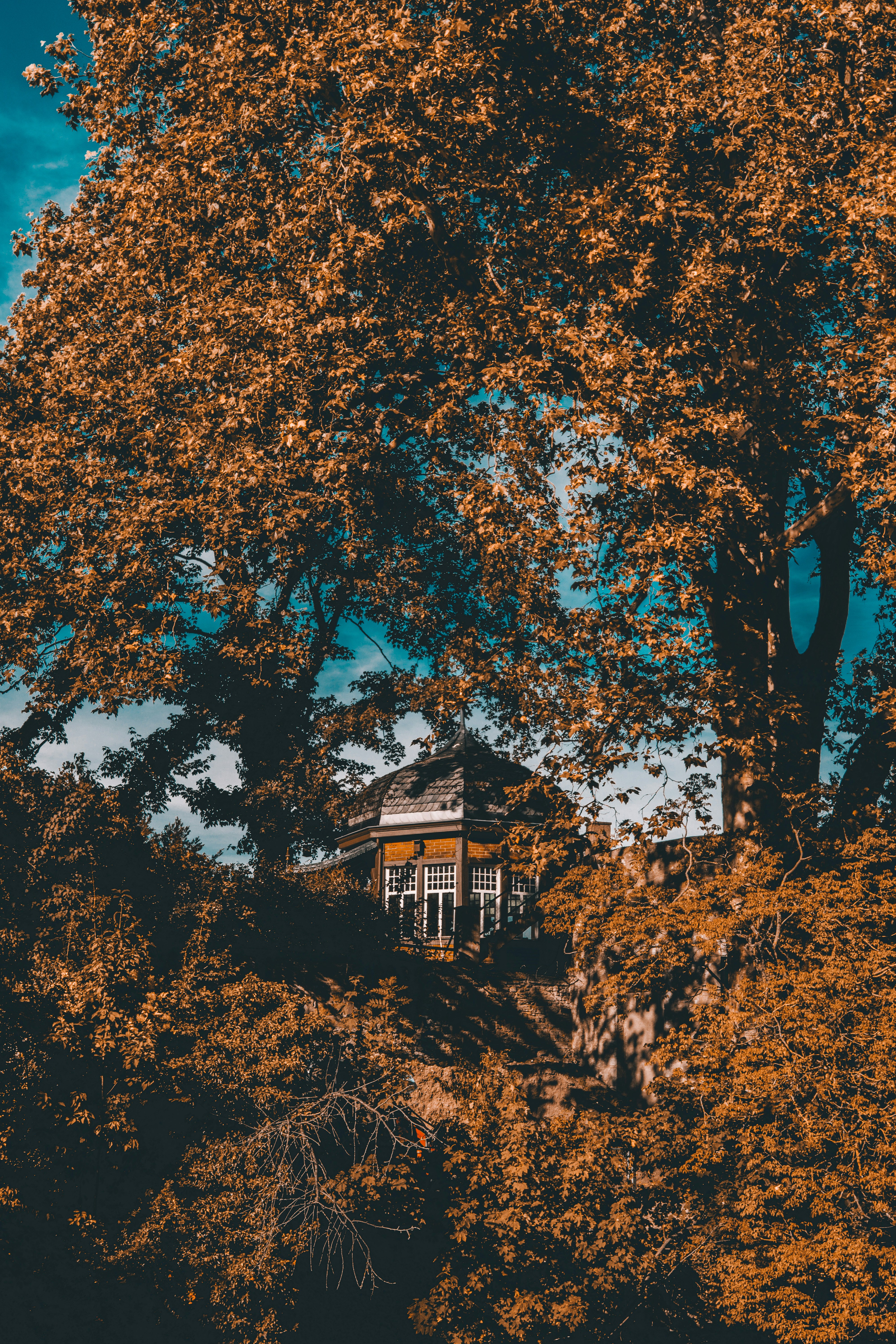 Secluded Gazebo Quietly Nestled Beneath a Copper-Orange Autumn Canopy
