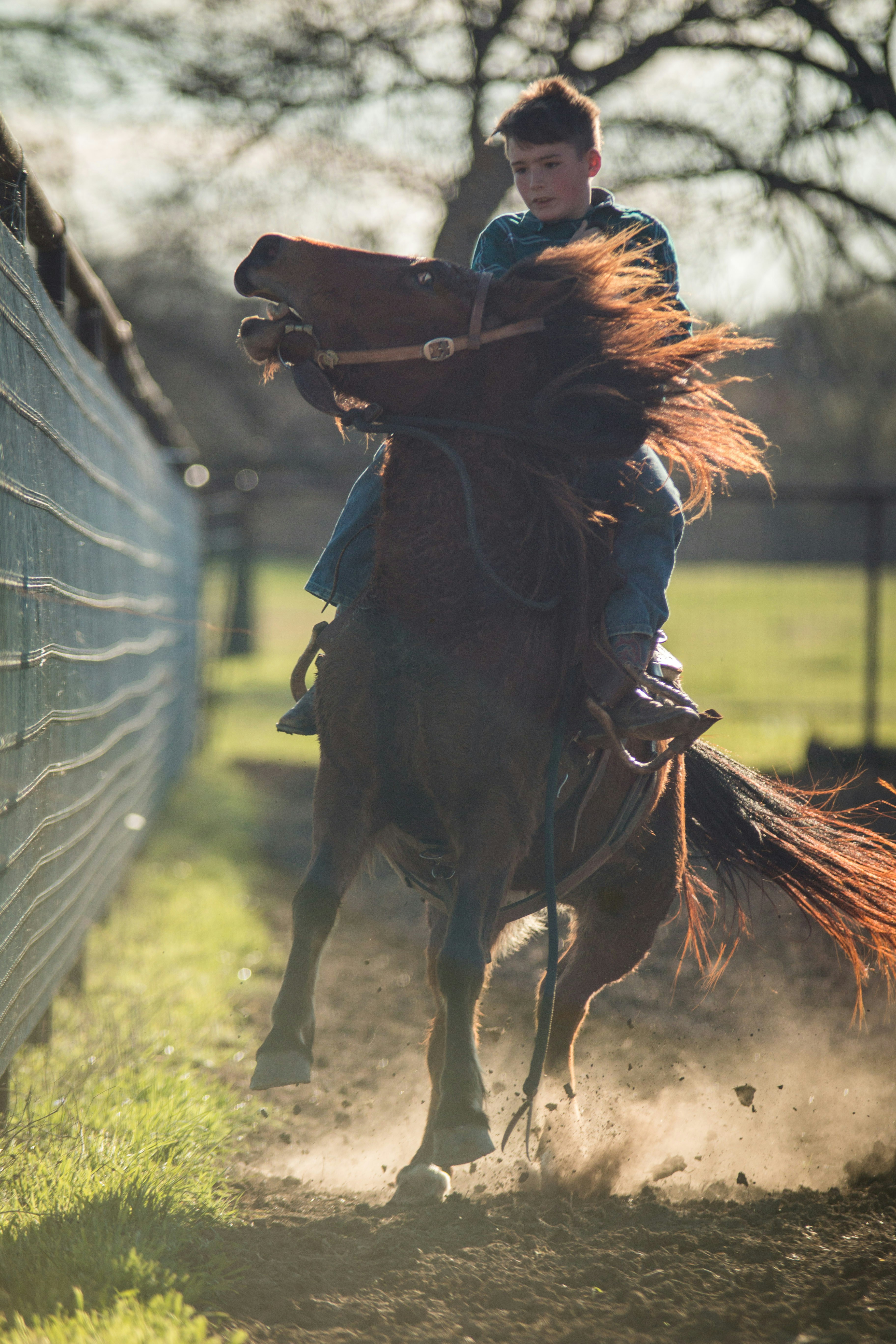 Beautiful Western Horse Photography