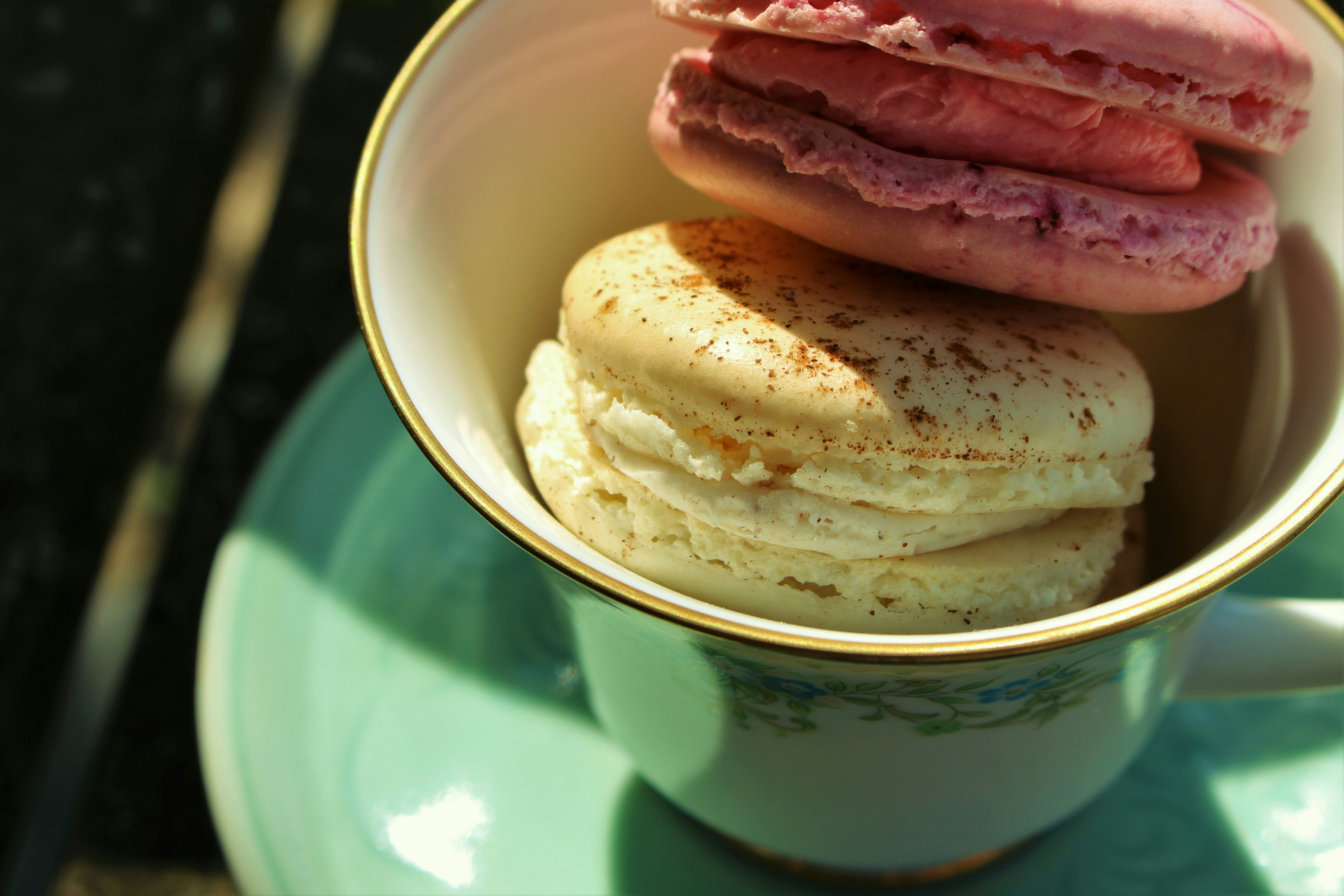 Teacup Light: Pink and Vanilla Macarons Nest in a Teal Saucer