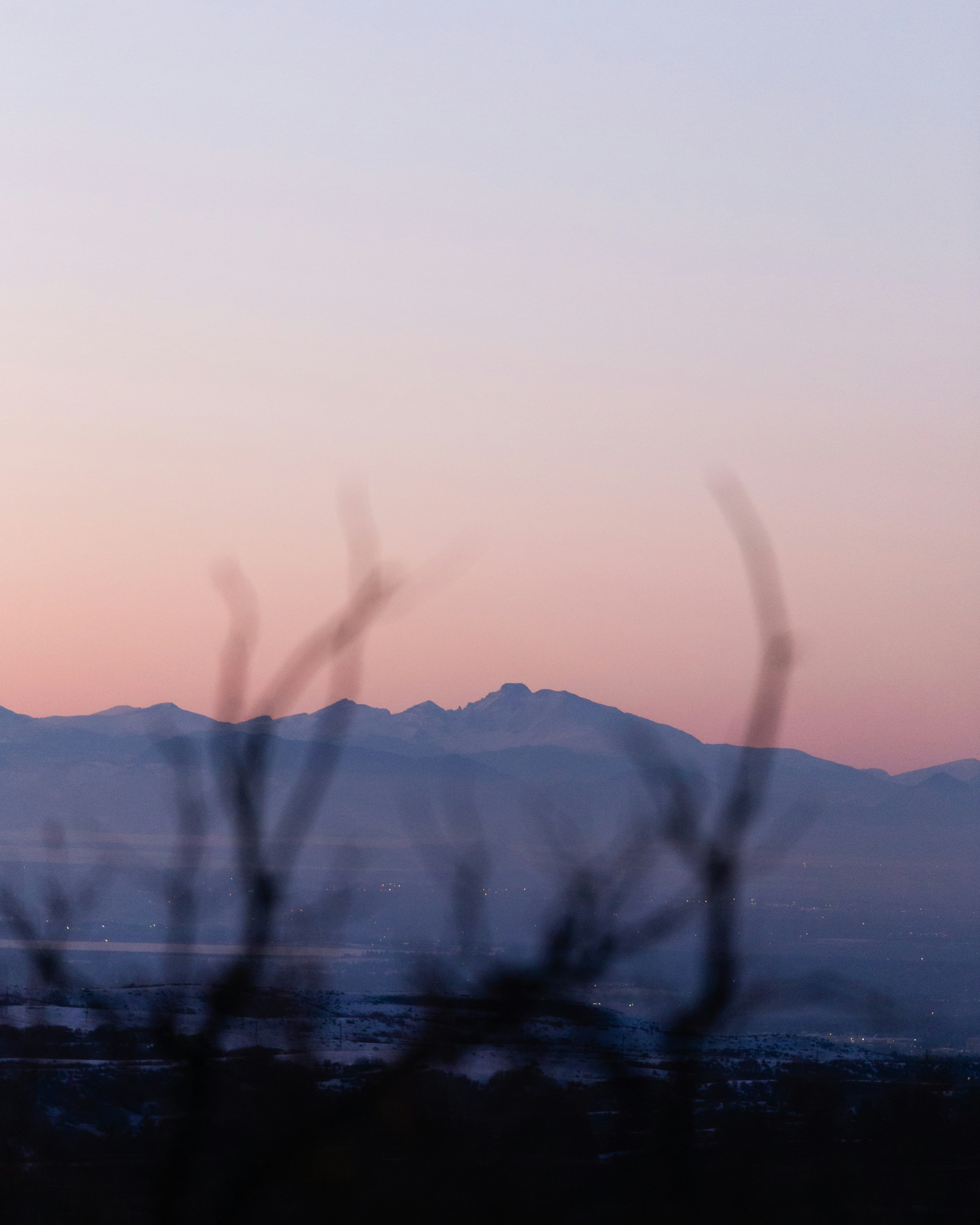 Soft pastel hues blend in the sky as distant mountains emerge from the fog, framed by silhouetted branches in the foreground.