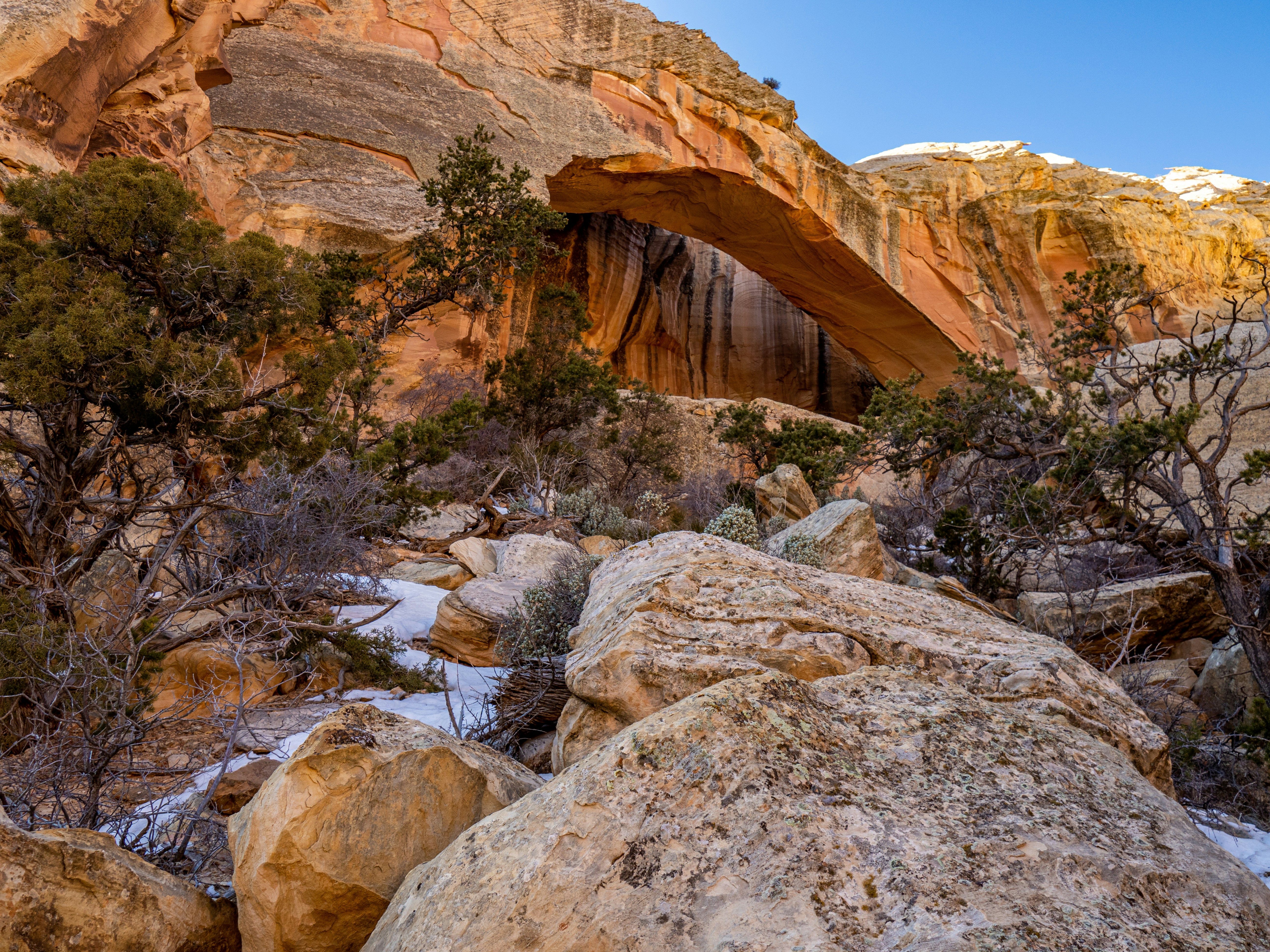 Rocky landscape with a natural arch and scattered trees under a clear blue sky.