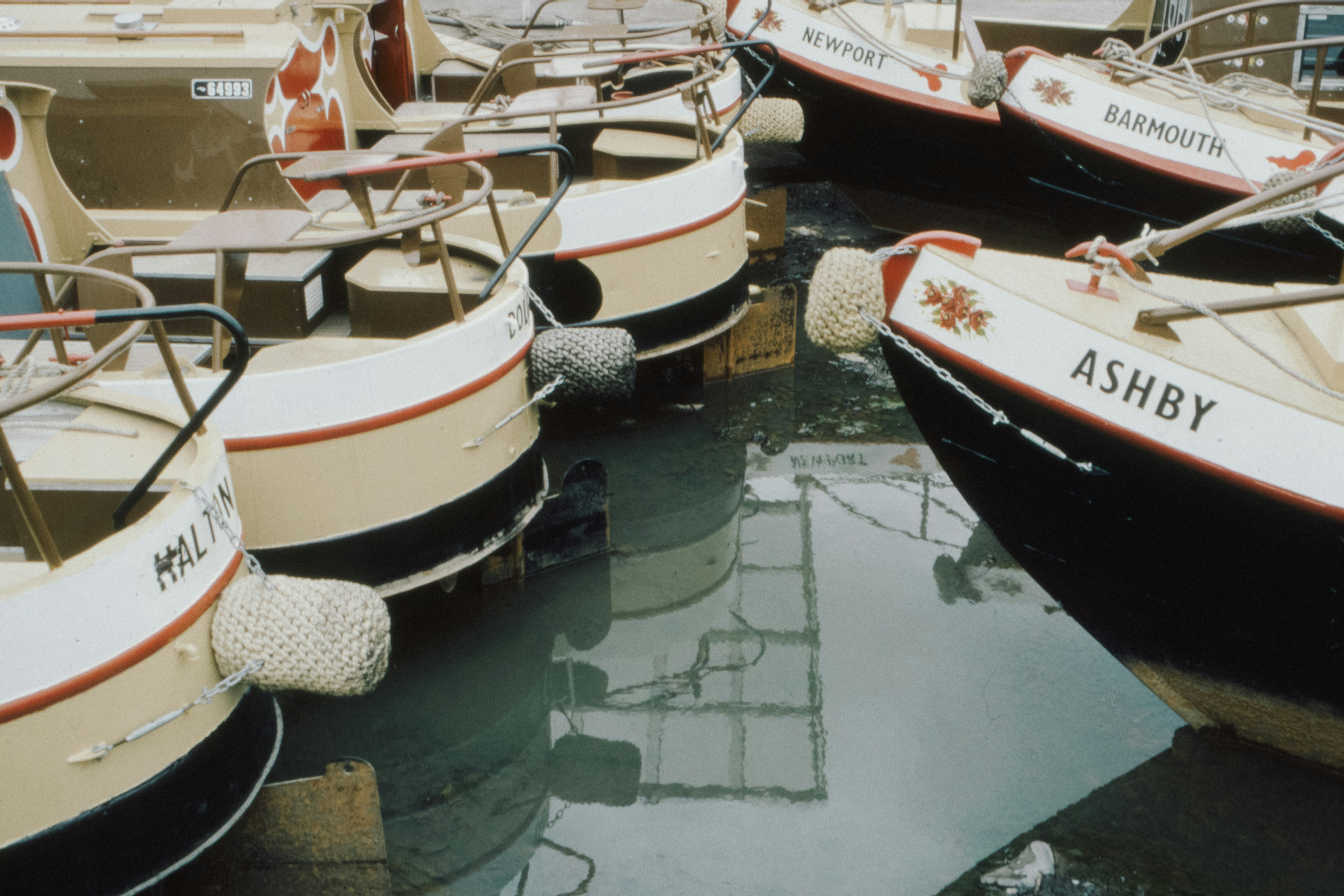 Harbor Lineup: Boats Resting at Low Tide
