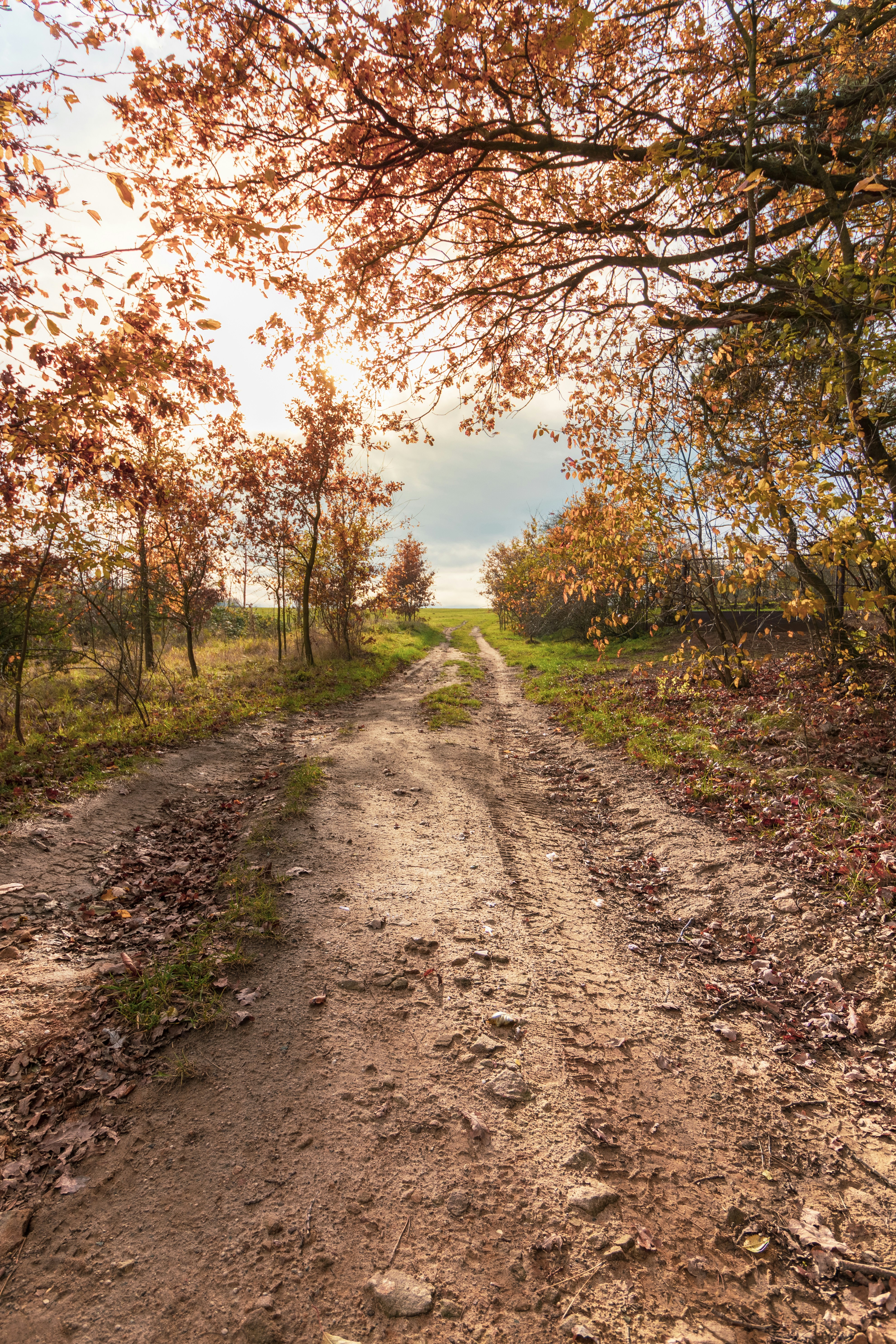 Dirt Road Pictures | Download Free Images on Unsplash