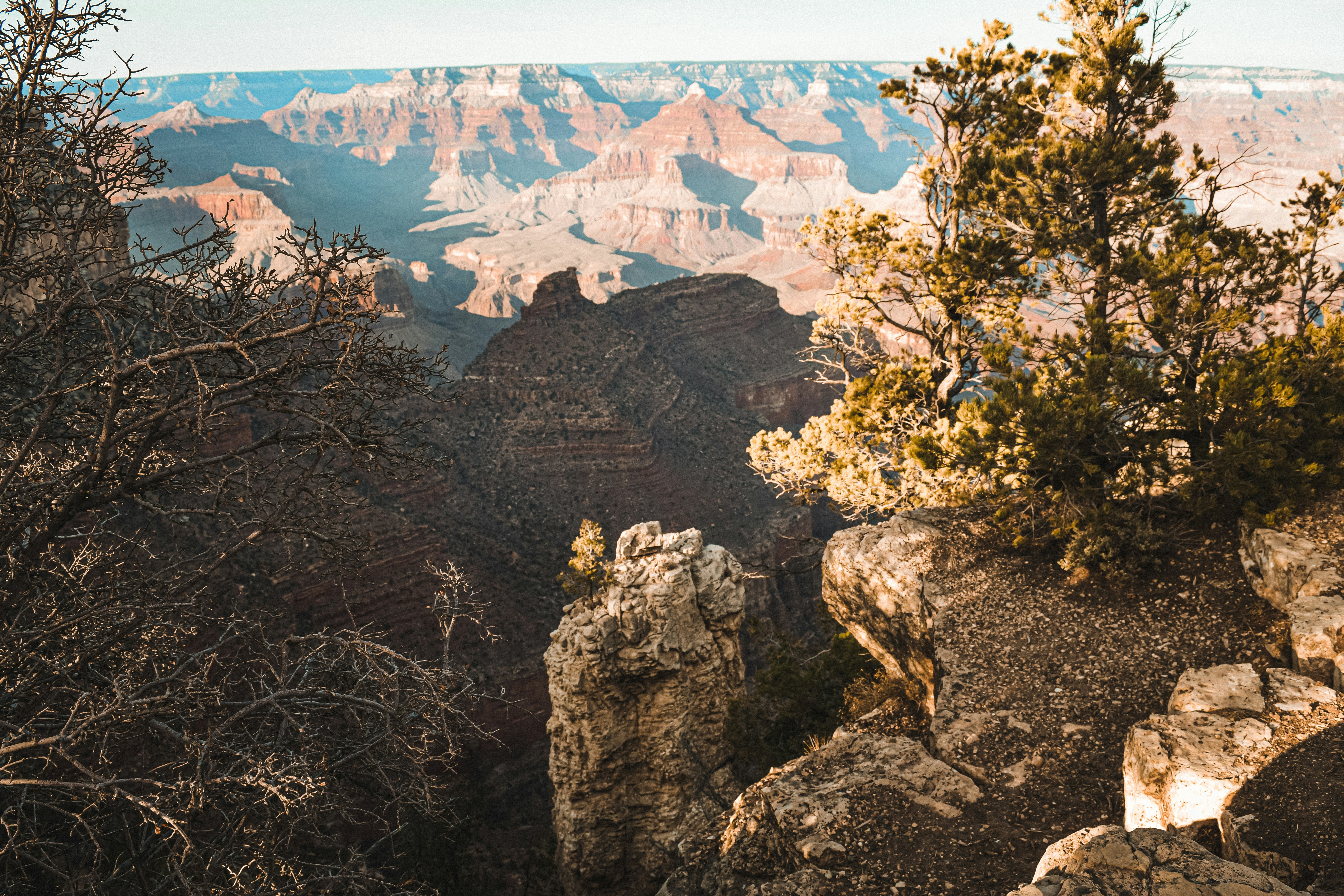 Lush greenery frames a dramatic view of the Grand Canyon, showcasing layered rock formations under soft sunlight. The scene evokes a sense of tranquility and natural beauty.