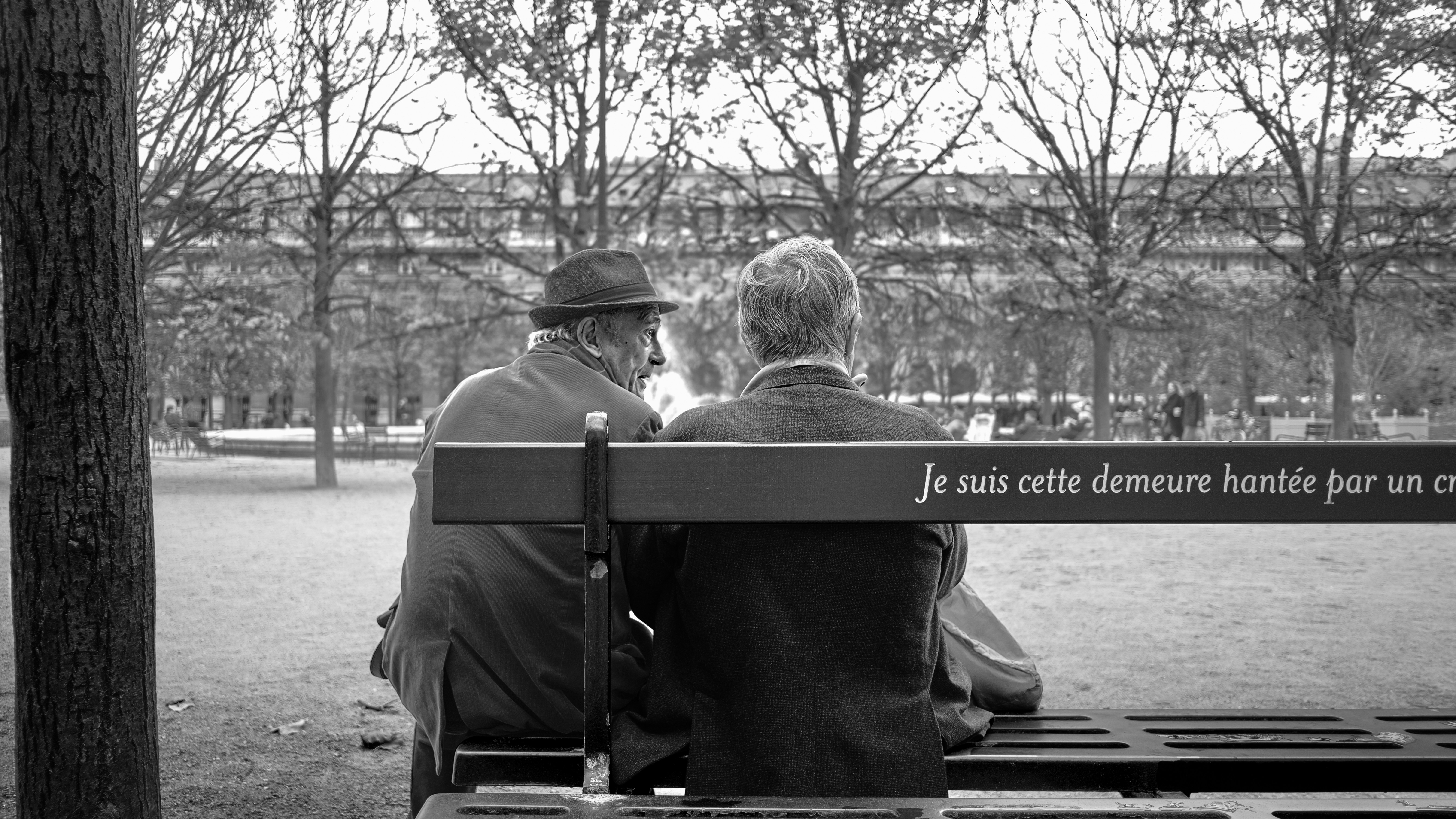 Monochrome Moment on a Park Bench
