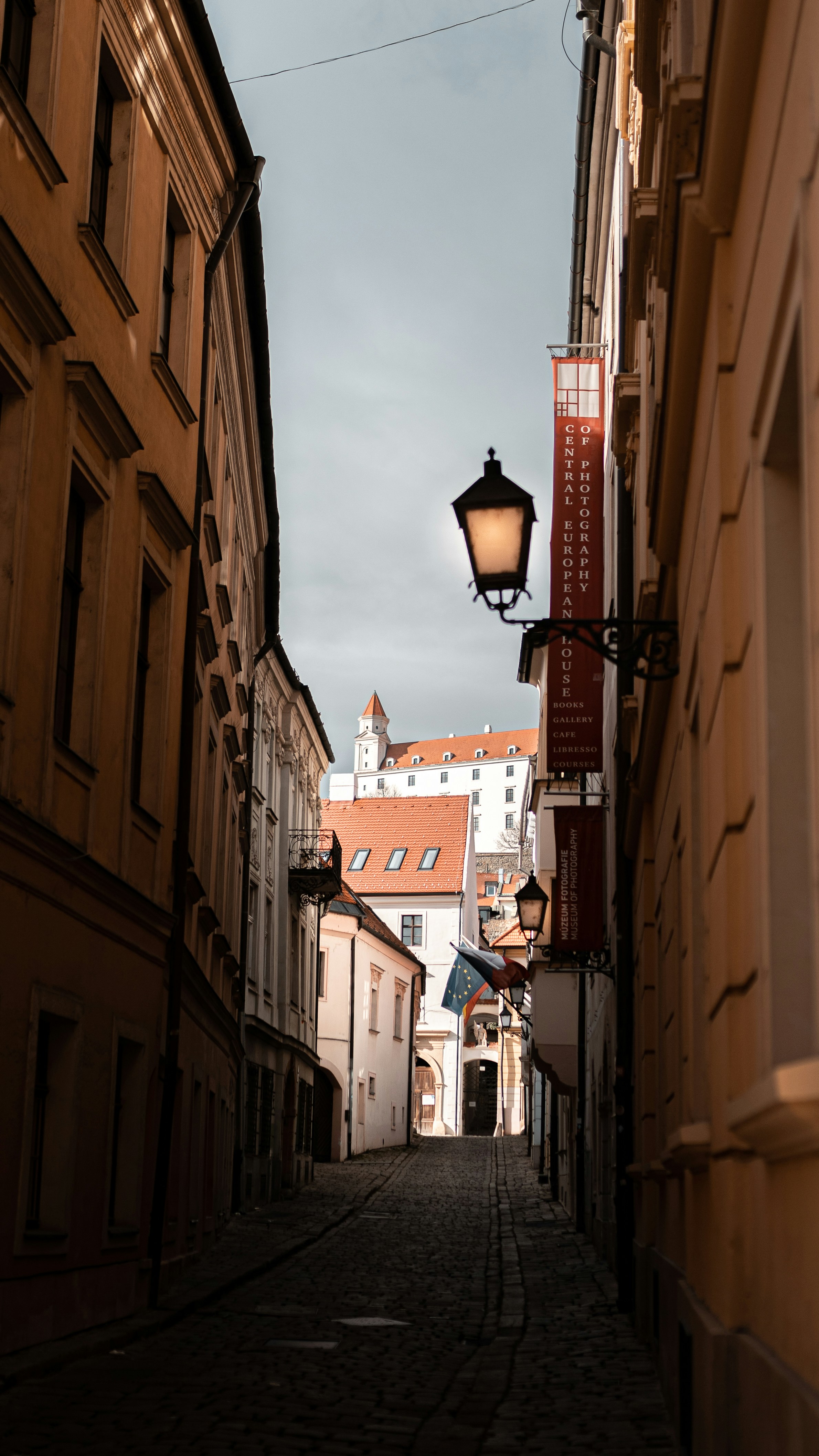 Canon EOS RP sample photo - 9OVj6ywZnt - ExploreCams