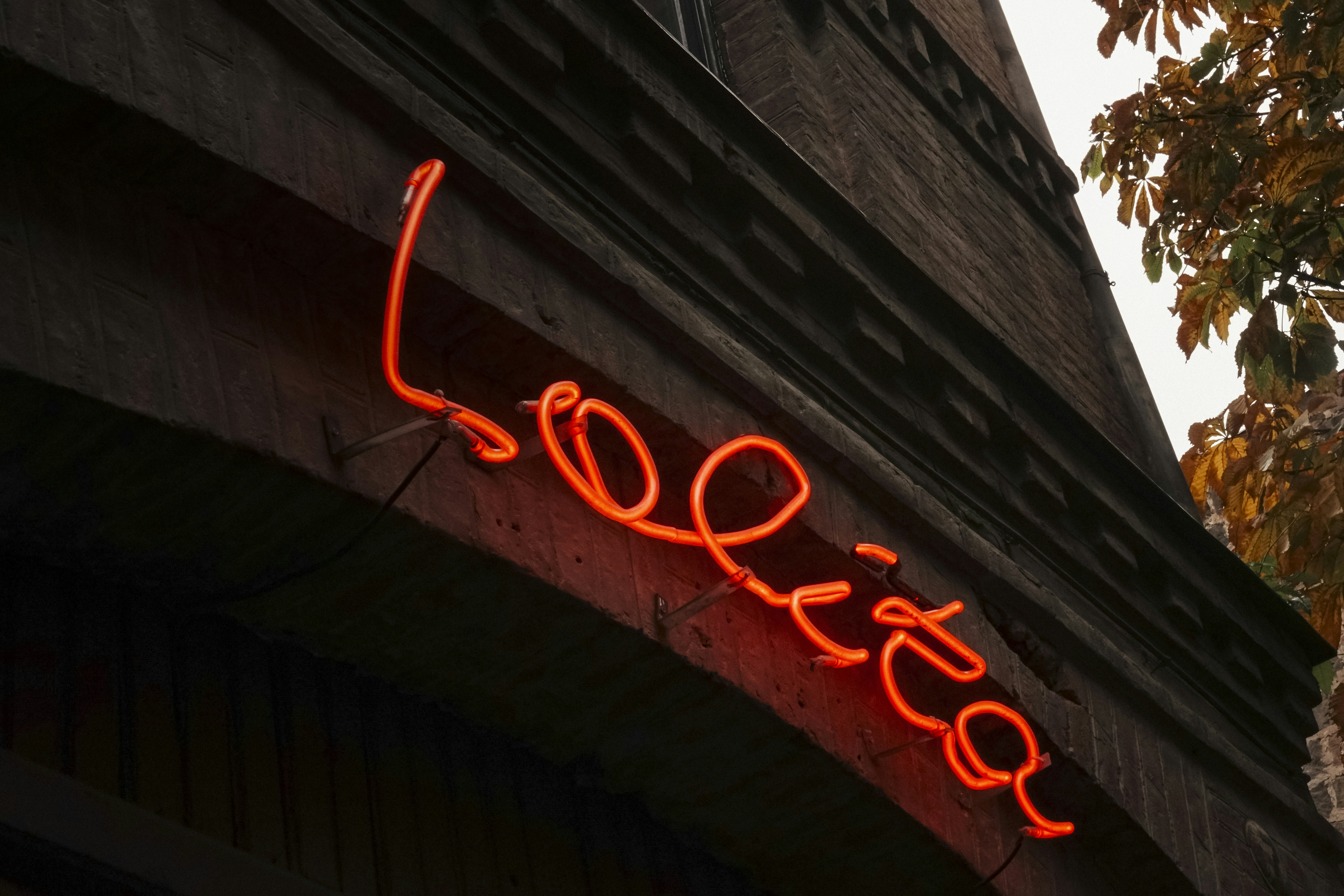 Crimson Neon Loquita on a Brick Facade at Dusk