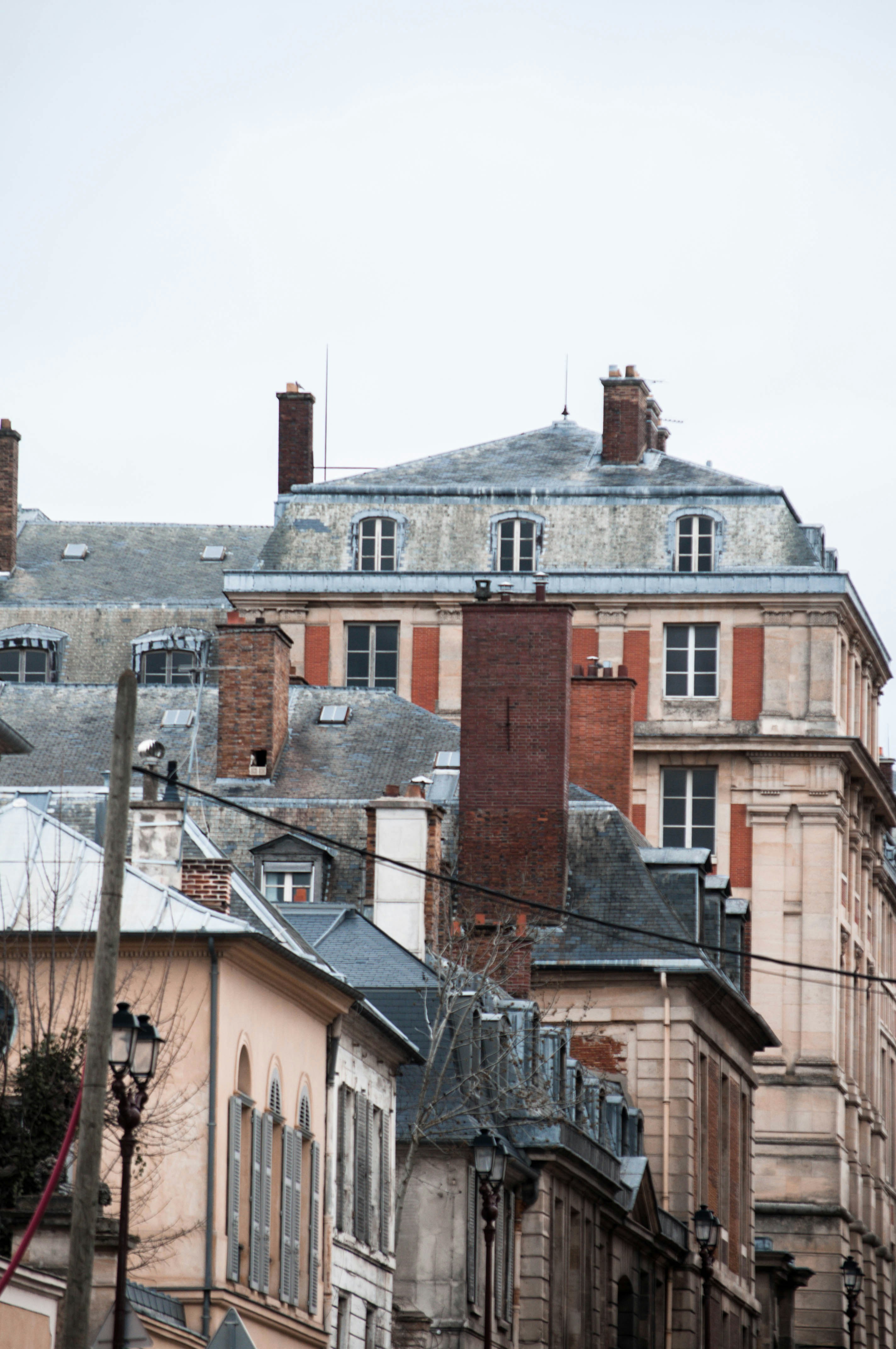 Définition de sarigue d'eau | Dictionnaire français