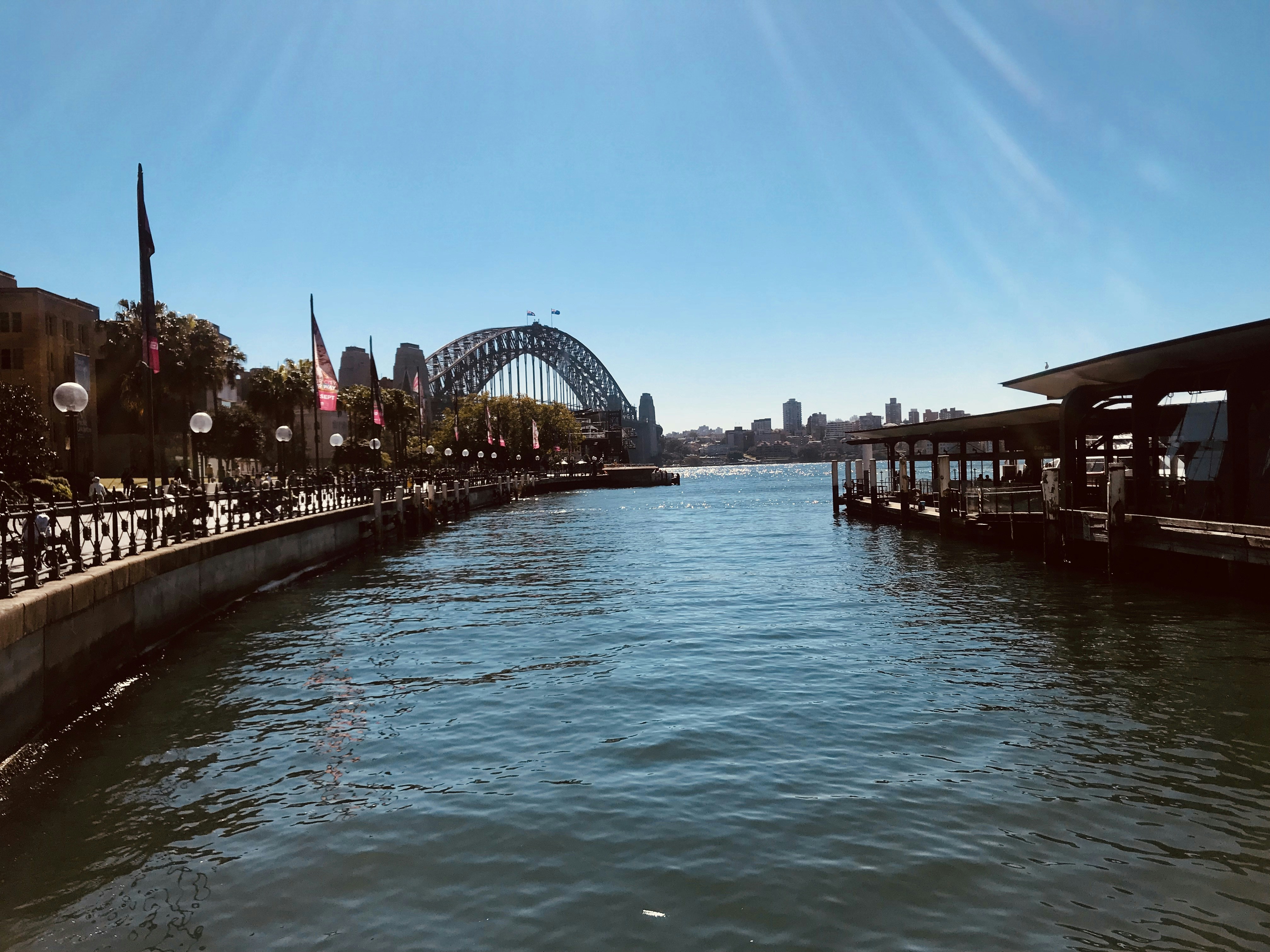 Sydney Harbour with the iconic bridge in the background, framed by a peaceful waterfront promenade and clear blue skies.