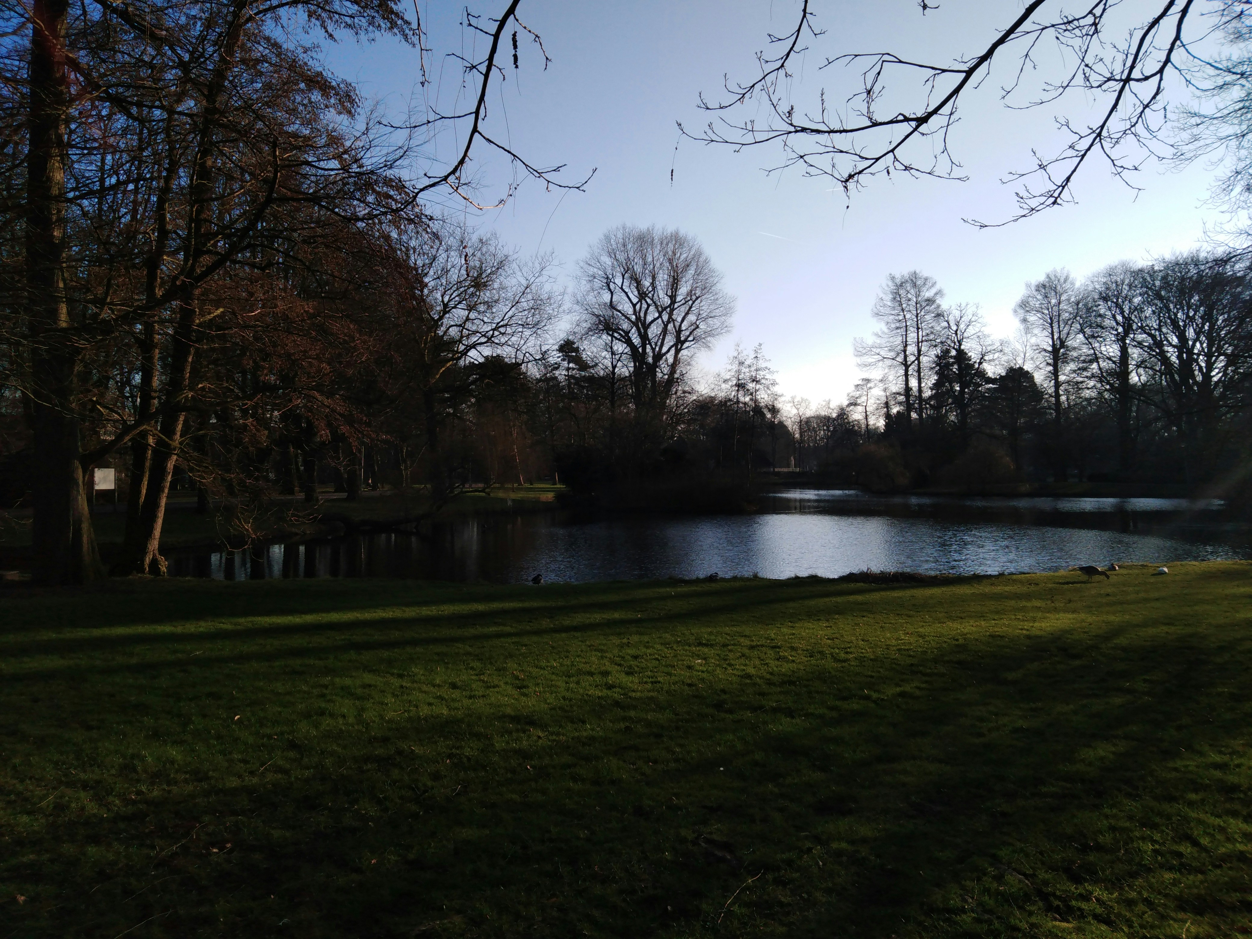 Serene park scene with still water reflecting bare trees under a clear sky.