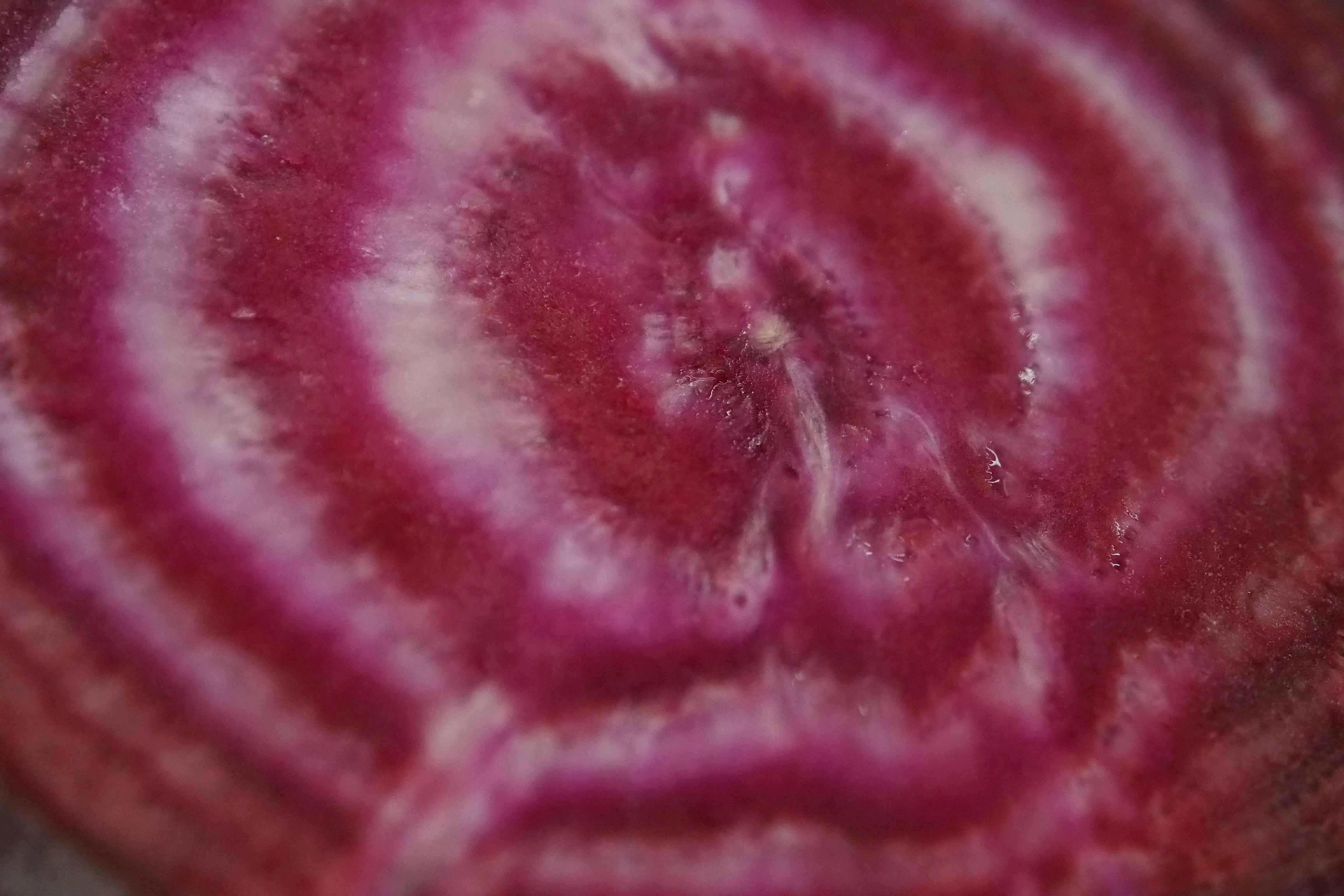 Cross-section of a vibrant beet showcasing intricate concentric patterns and rich colors.