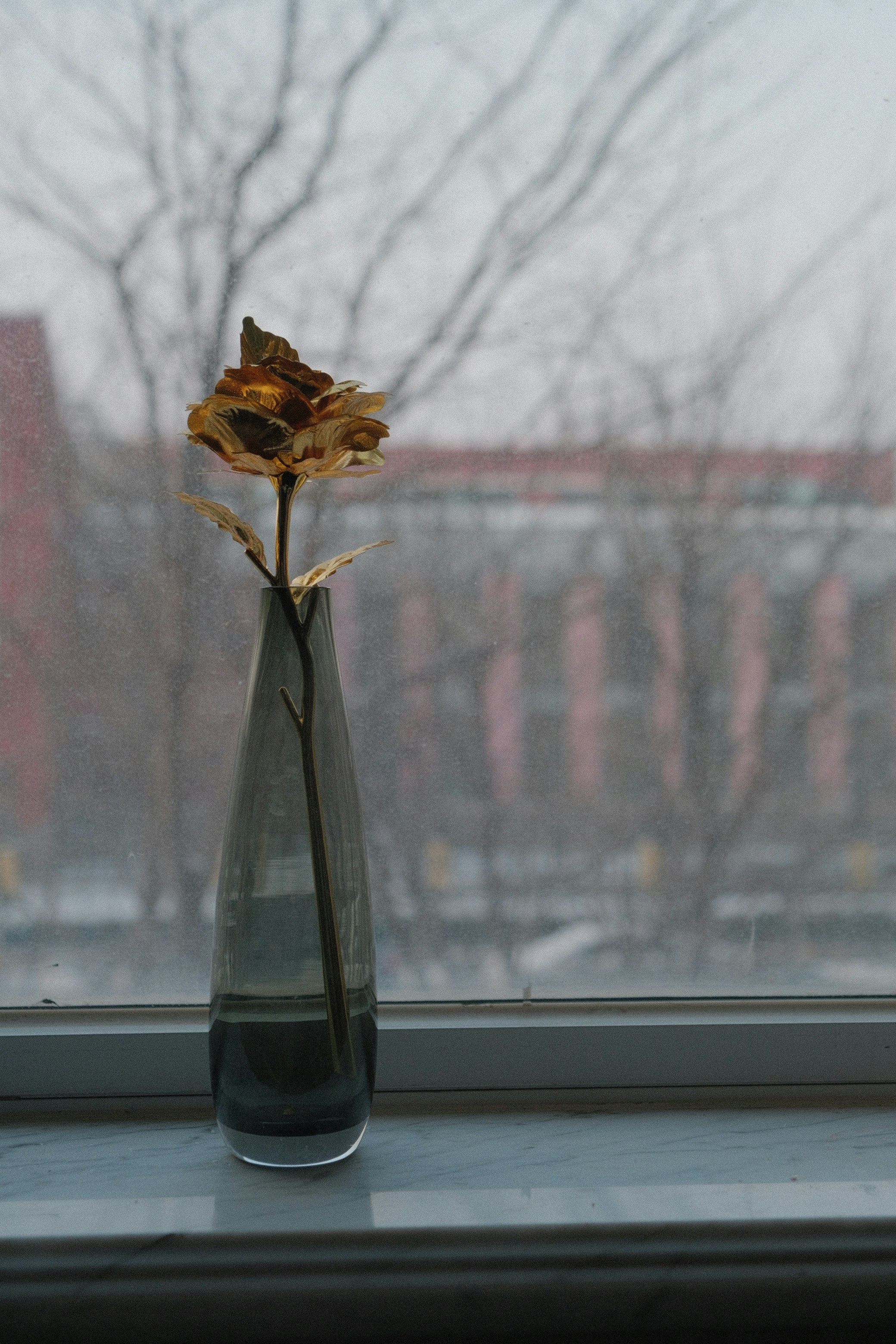 Withered Blossom in a Quiet Window Vase