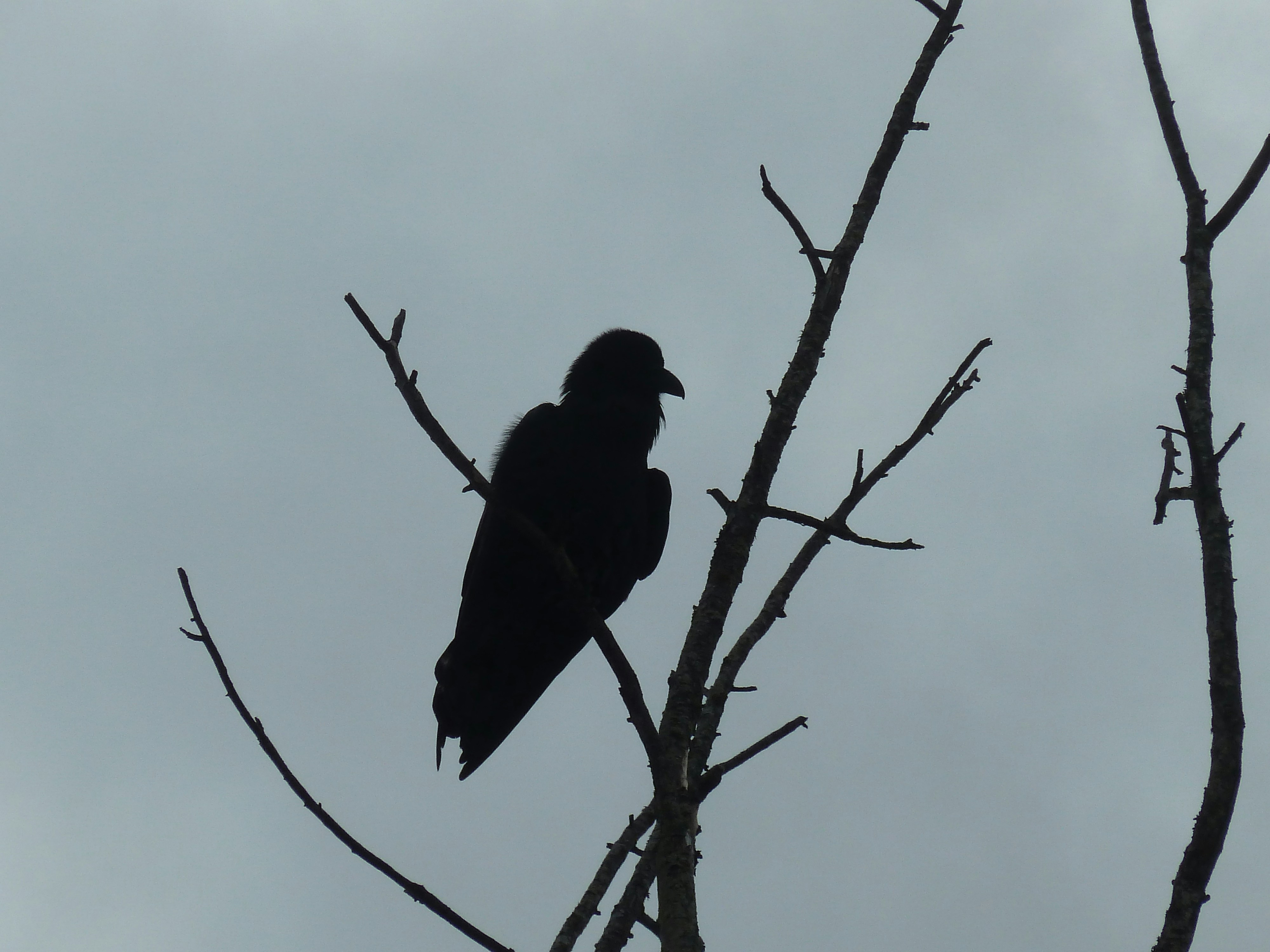 Sample photo from Panasonic Lumix ZS7