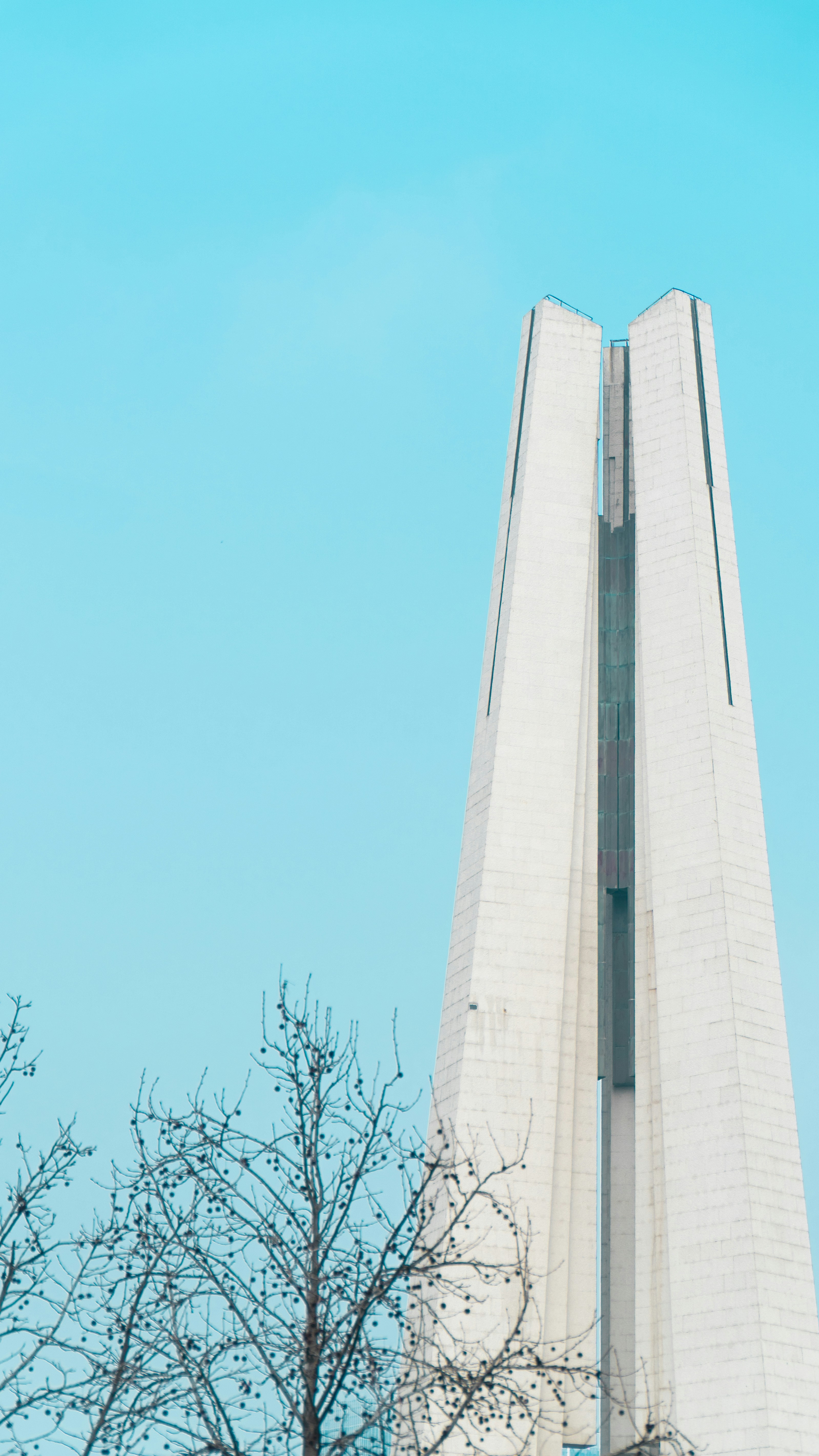 Modern architectural tower reaching into the sky, framed by bare branches against a bright blue backdrop.