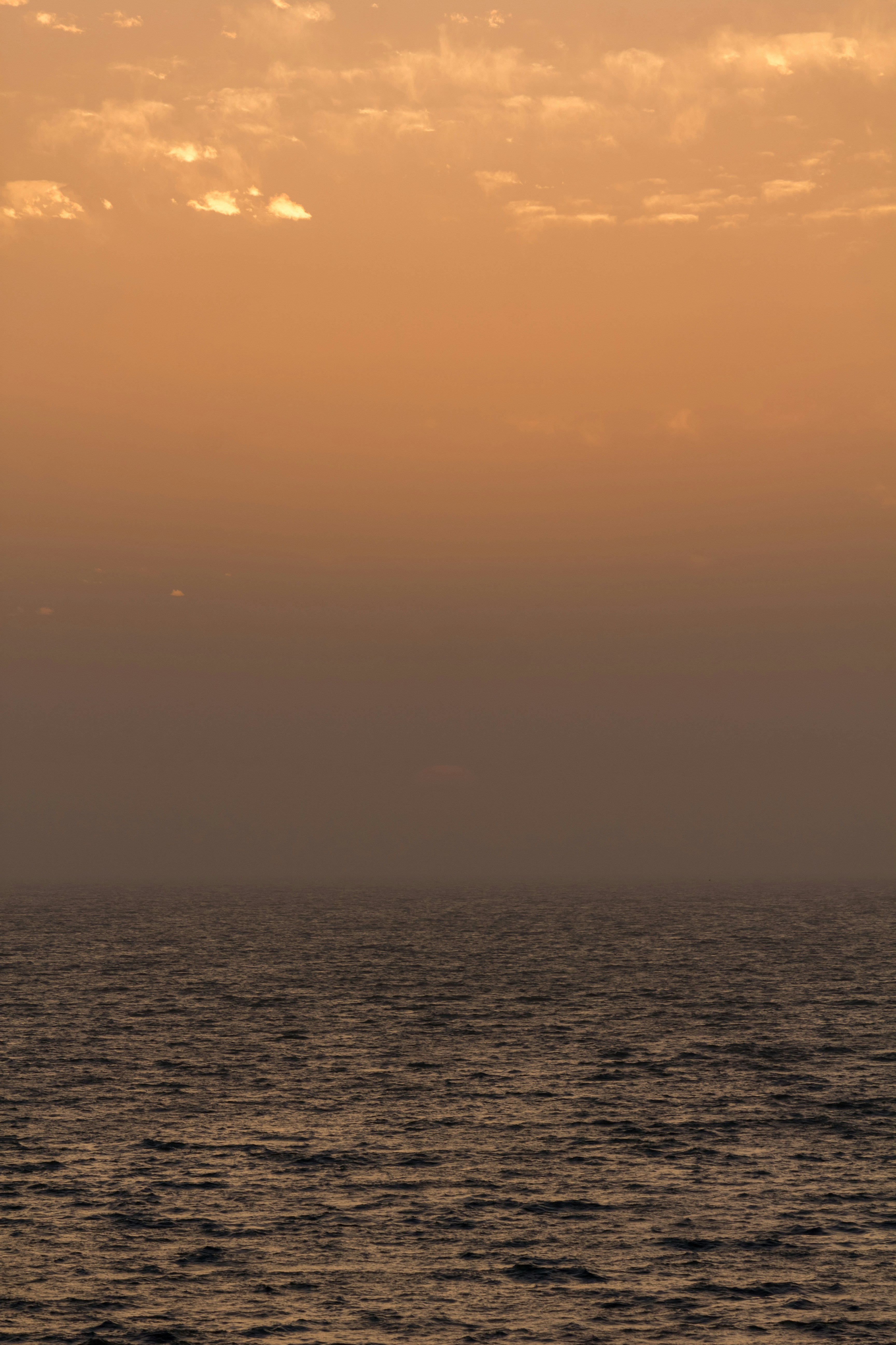 Photo by Matin Tavazoei with Canon EOS 550D