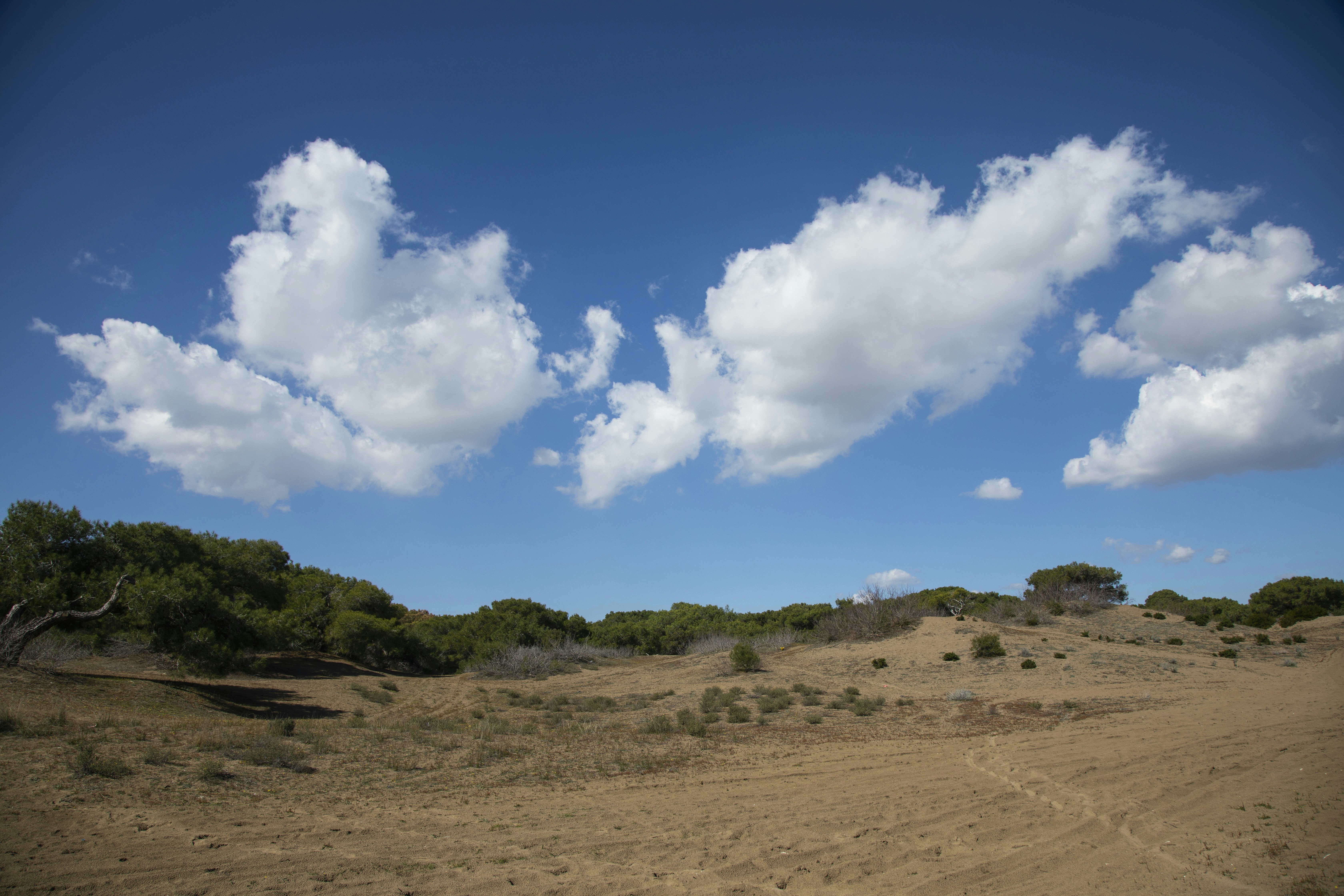 Desert Horizon Under a Luminous Sky