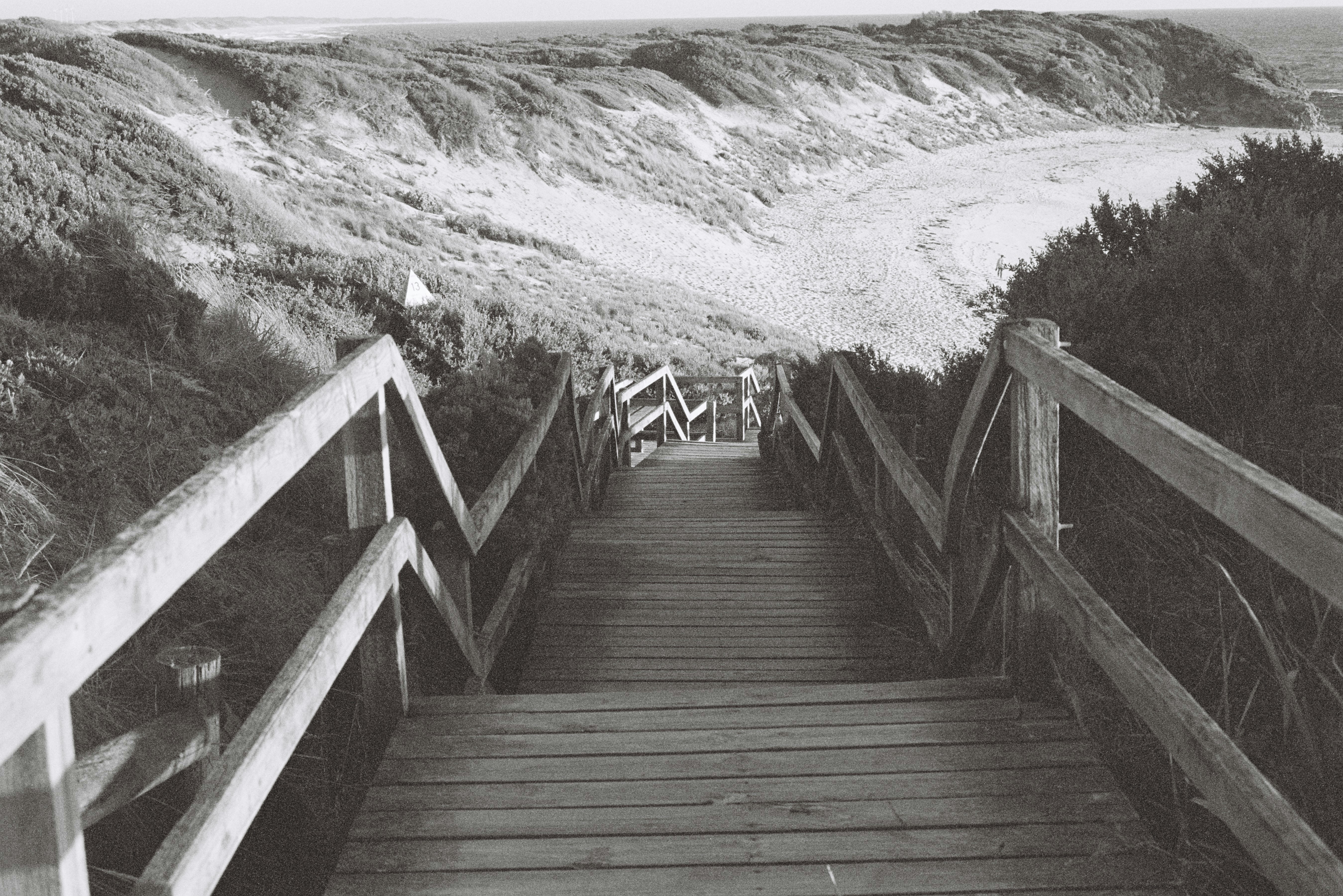 Boardwalk to the Dune Gate: A Quiet Descent Toward Wind and Sand