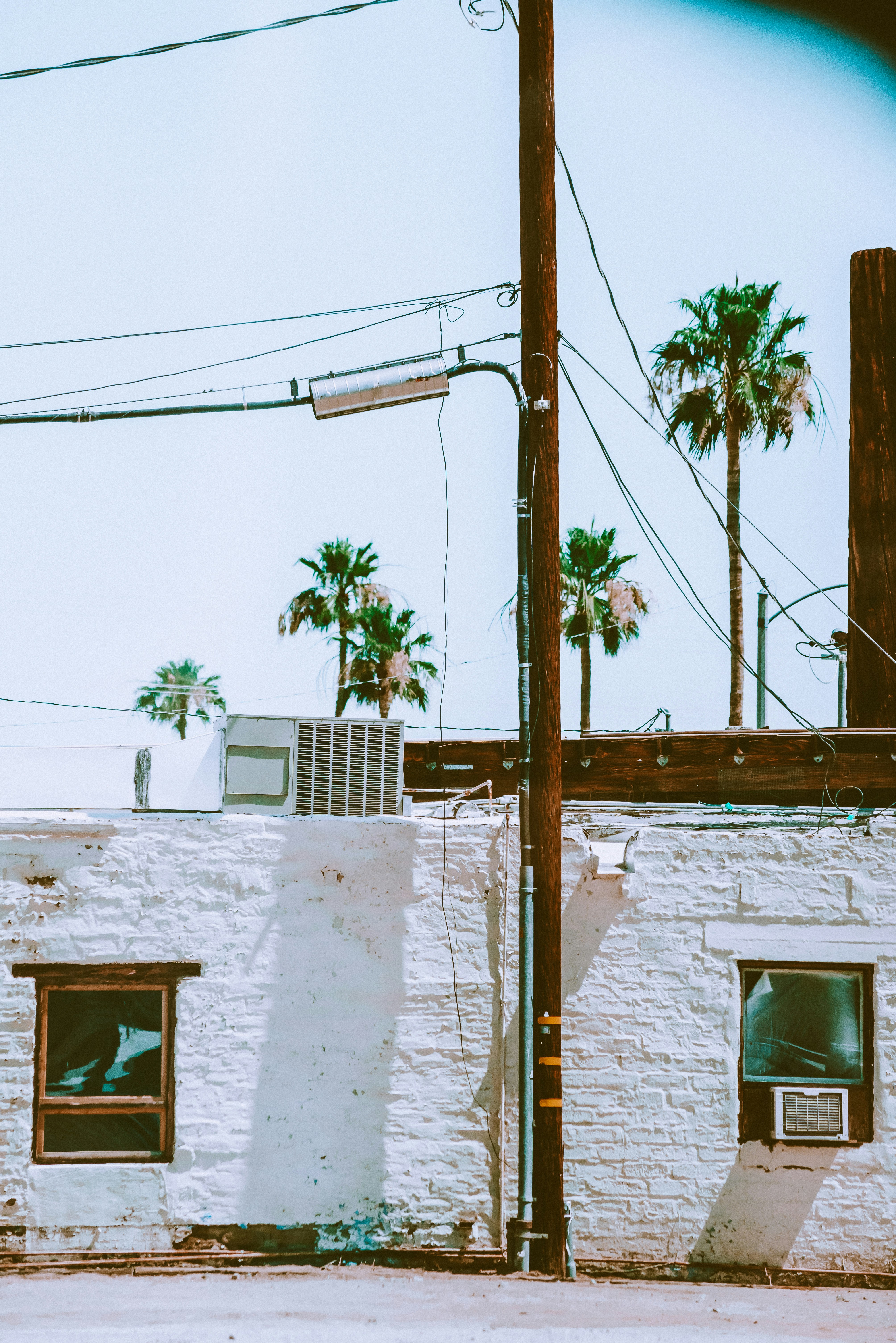 Palm trees rise above a rustic building with a weathered facade, framed by utility lines under a bright sky.