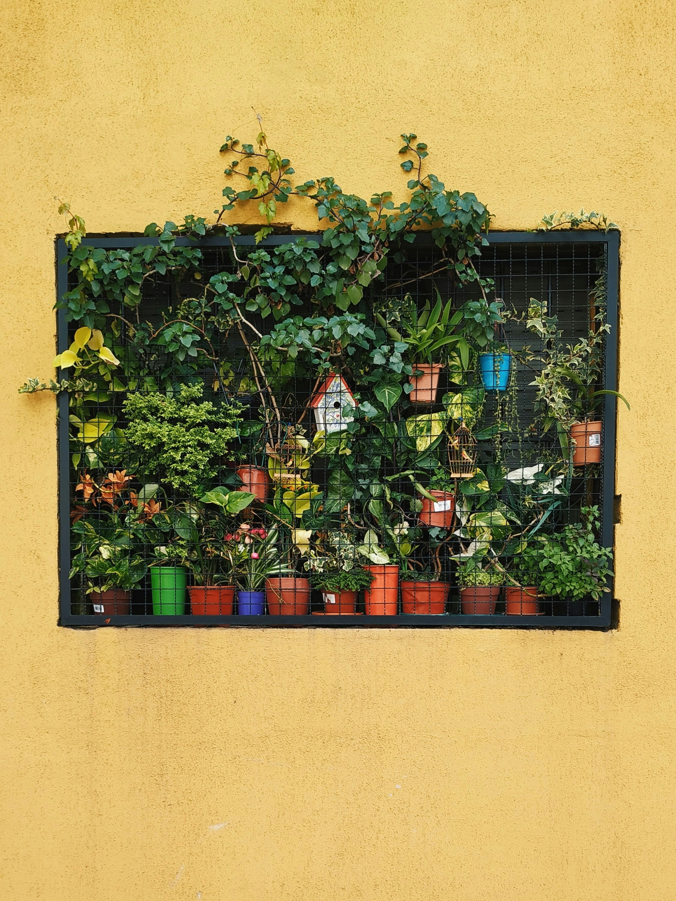 Sample photo from Xiaomi Redmi Note 6 Pro