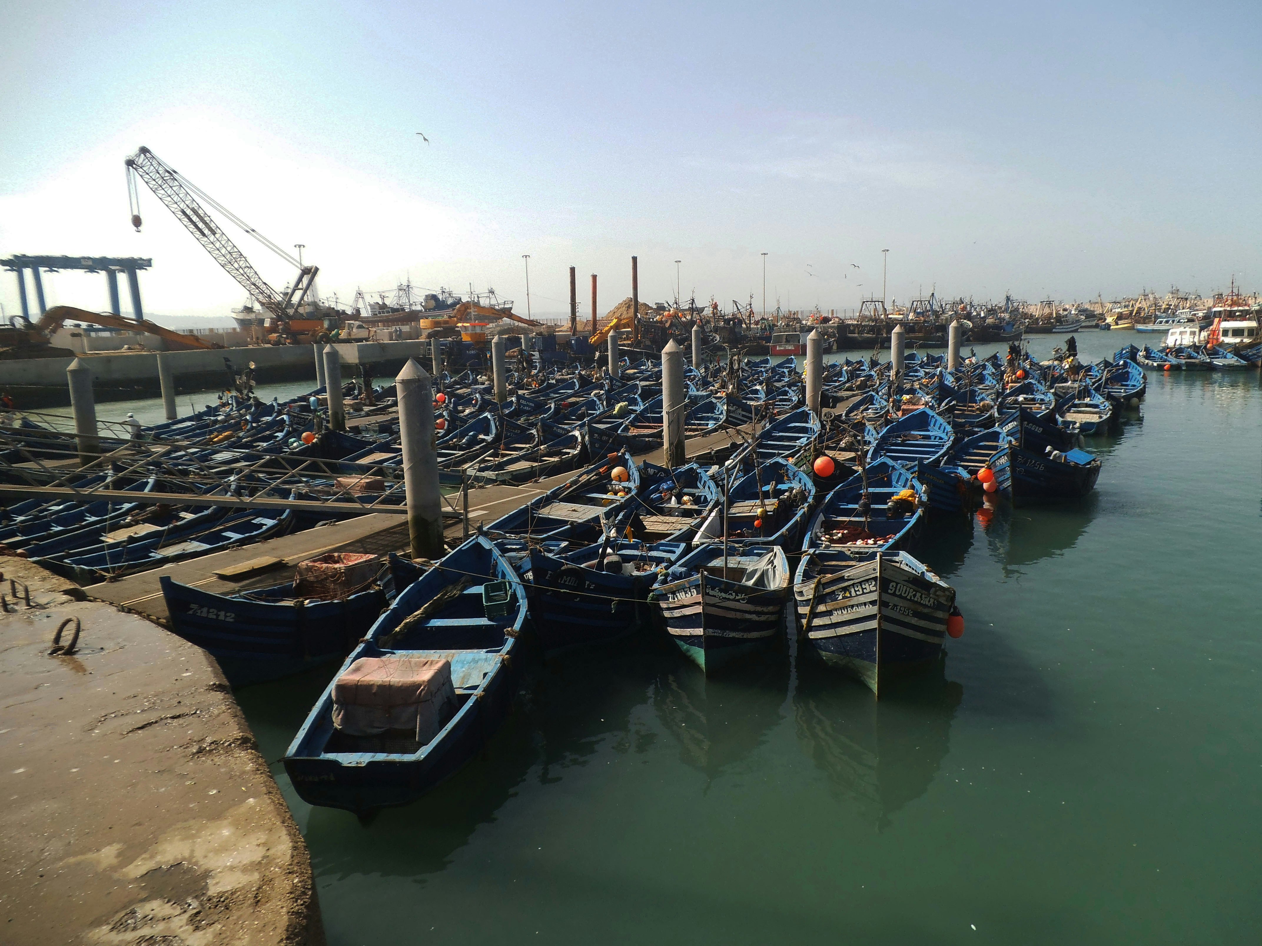 Indigo Fleet at the Edge: Rowboats Align in a Quiet Harbor