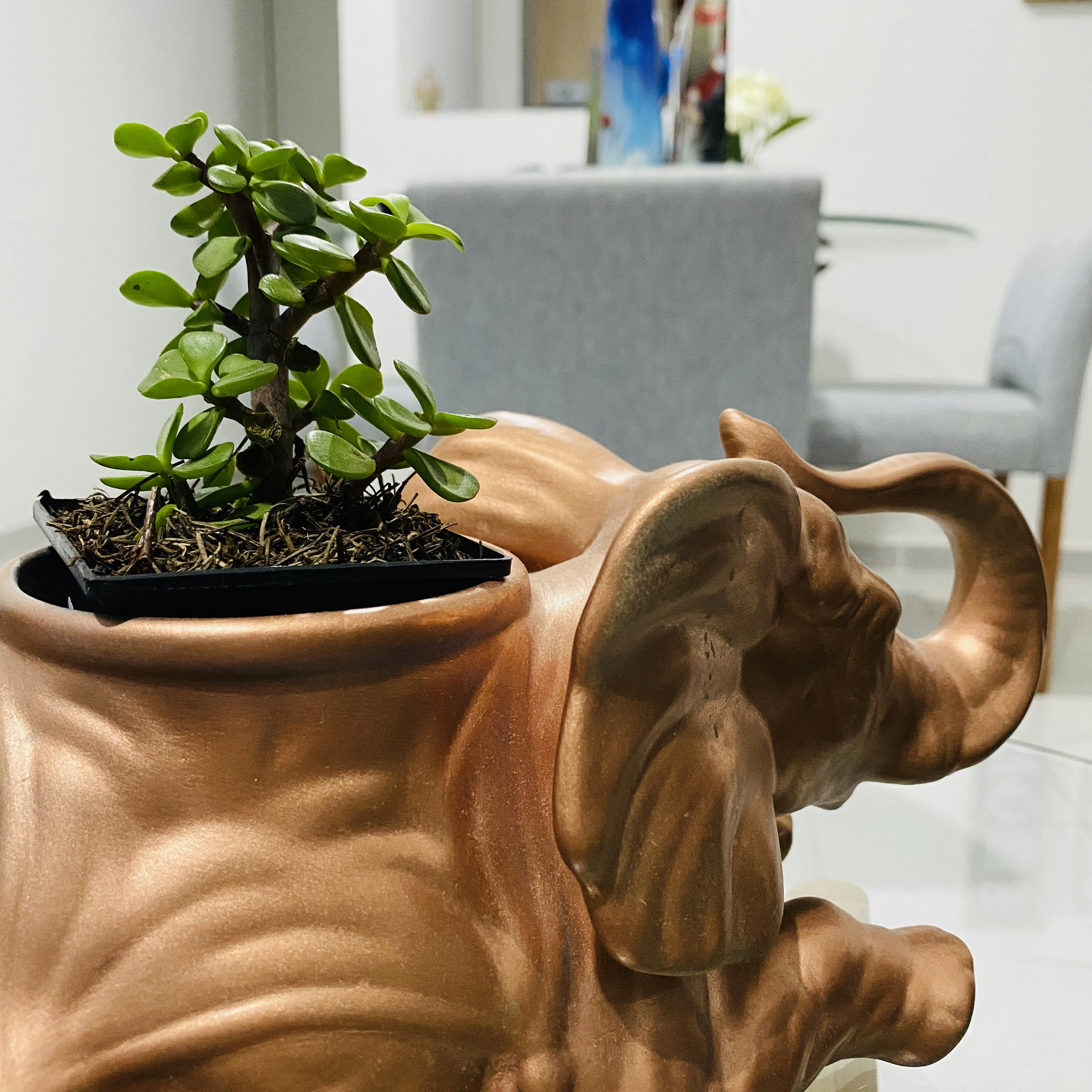 brown wooden elephant figurine beside green plant