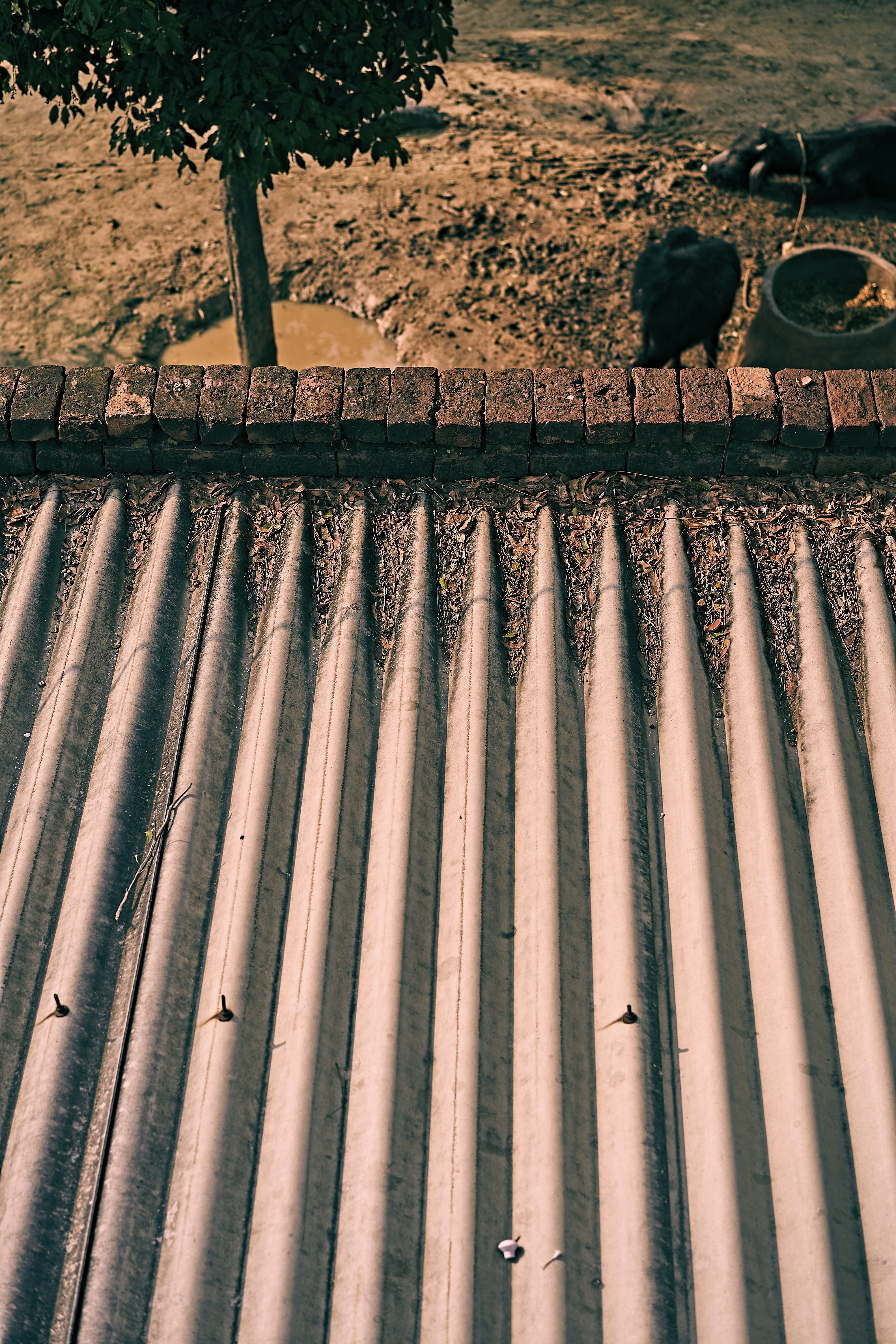 Ridge of Rust: A Rooftop Line Amid Earth-Tone Dusk