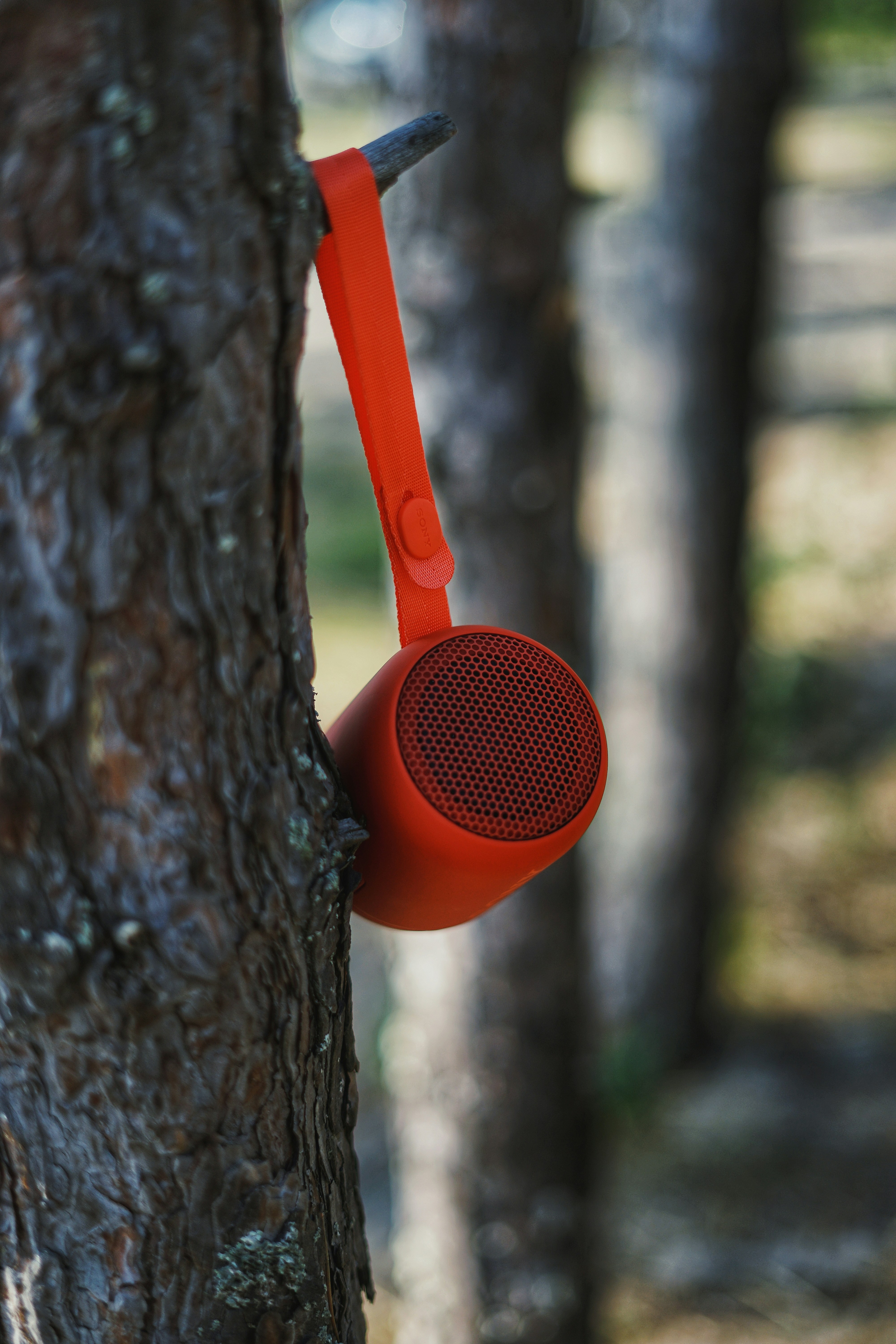 Red Speaker Stubbed Against Bark: A Quiet Moment in the Orchard