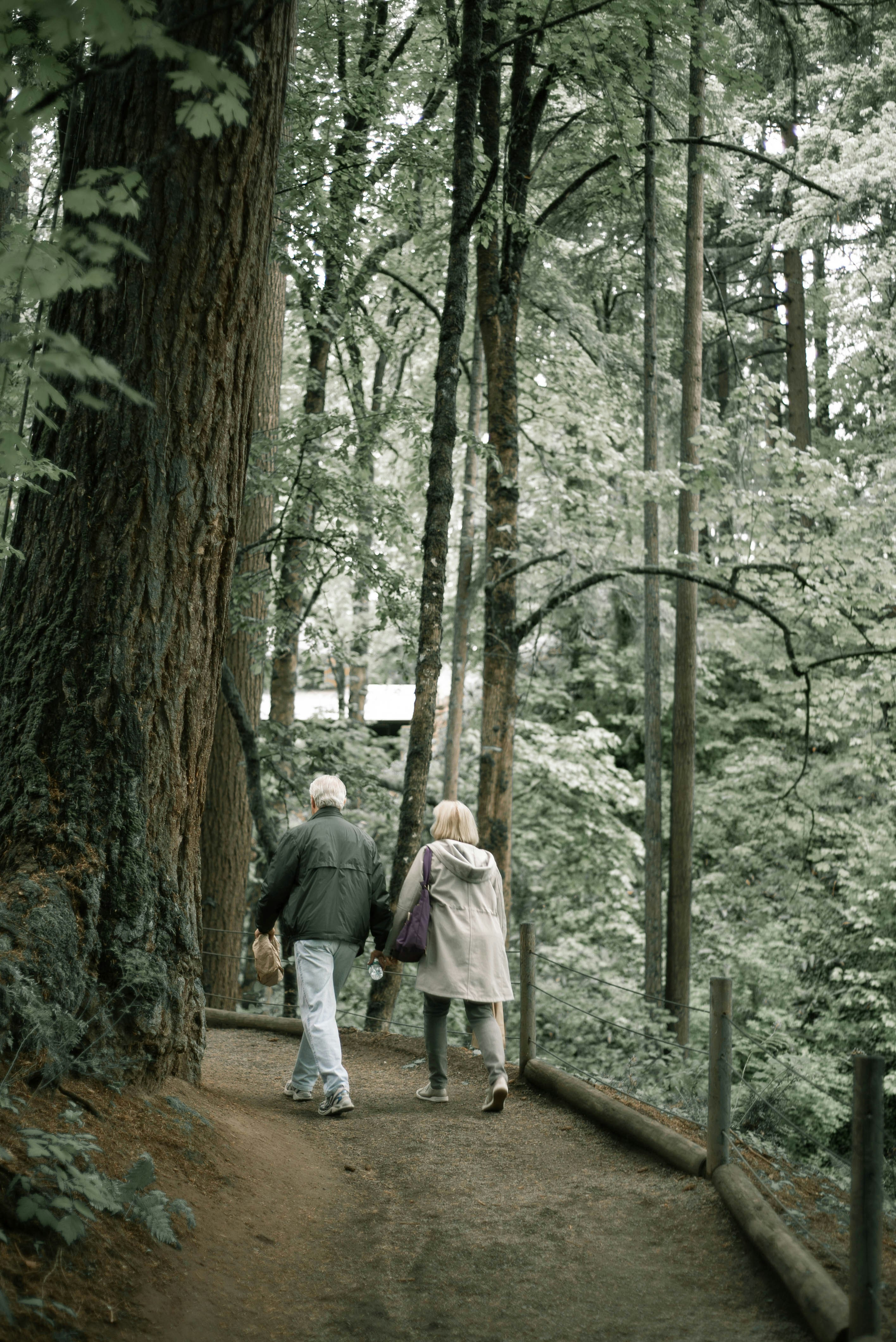 man and woman walking on pathway between trees during daytime