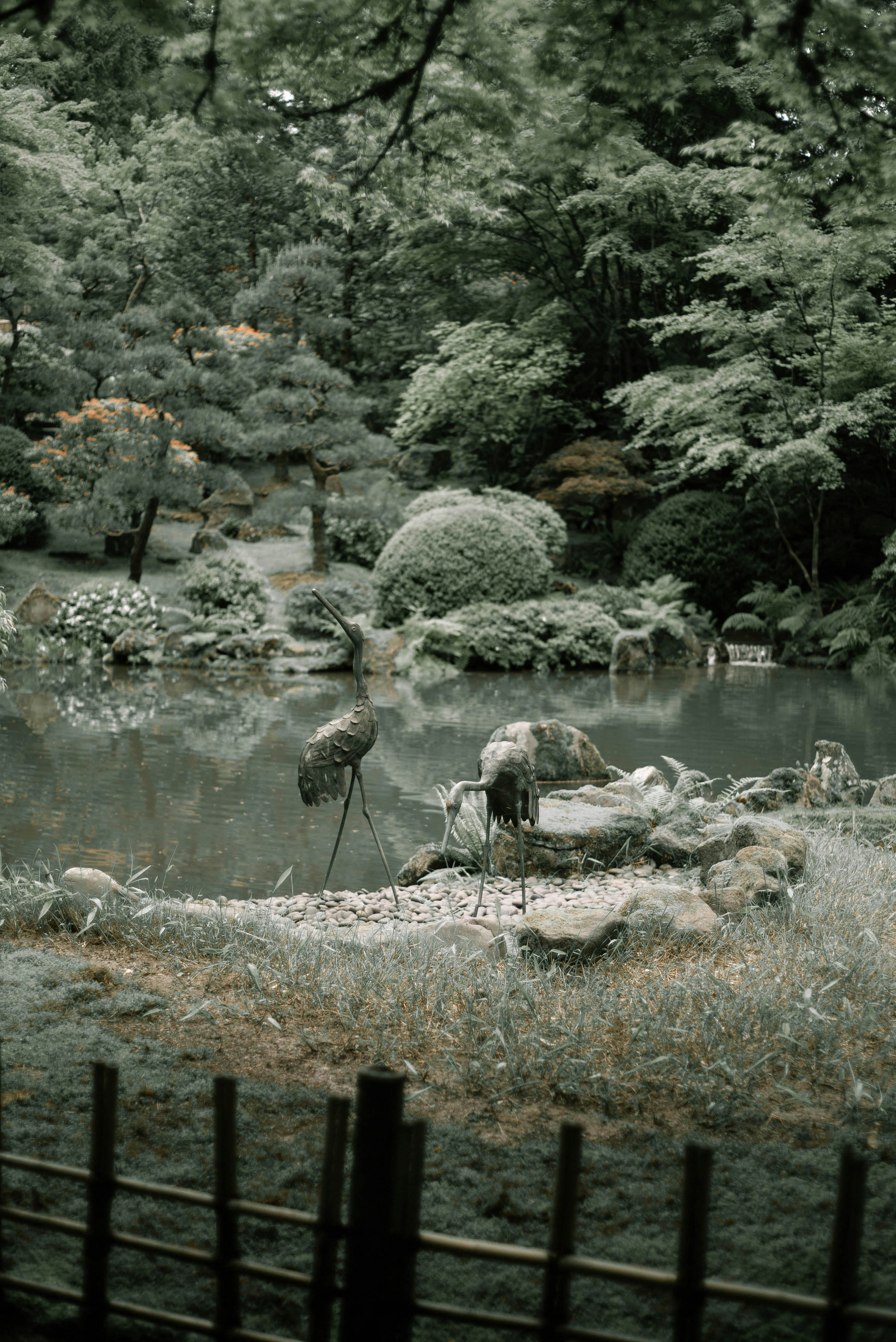 Two elegant heron sculptures stand by a tranquil pond surrounded by lush greenery and meticulously arranged flora.