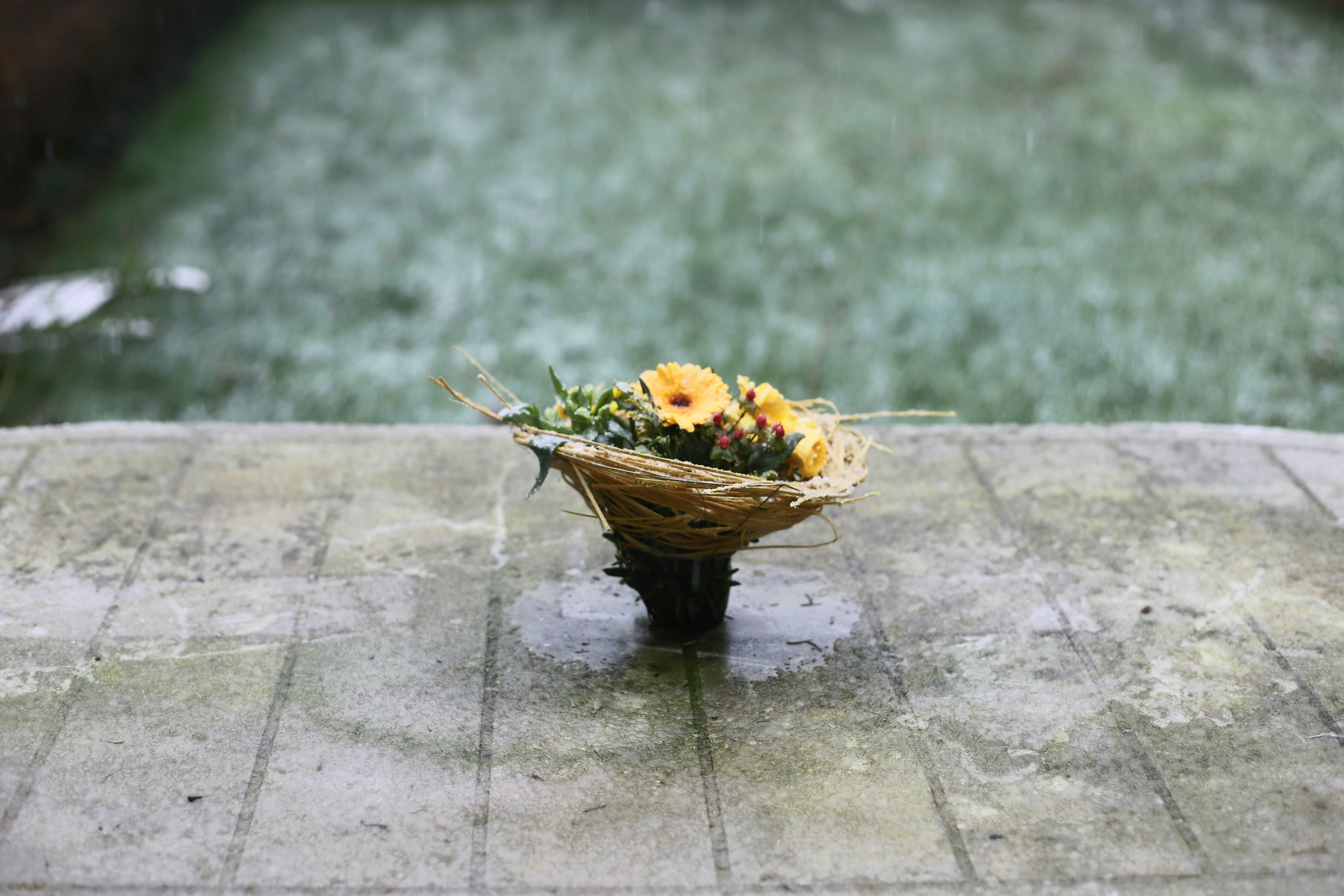 Yellow flowers in brown woven basket on gray concrete floor photo ...