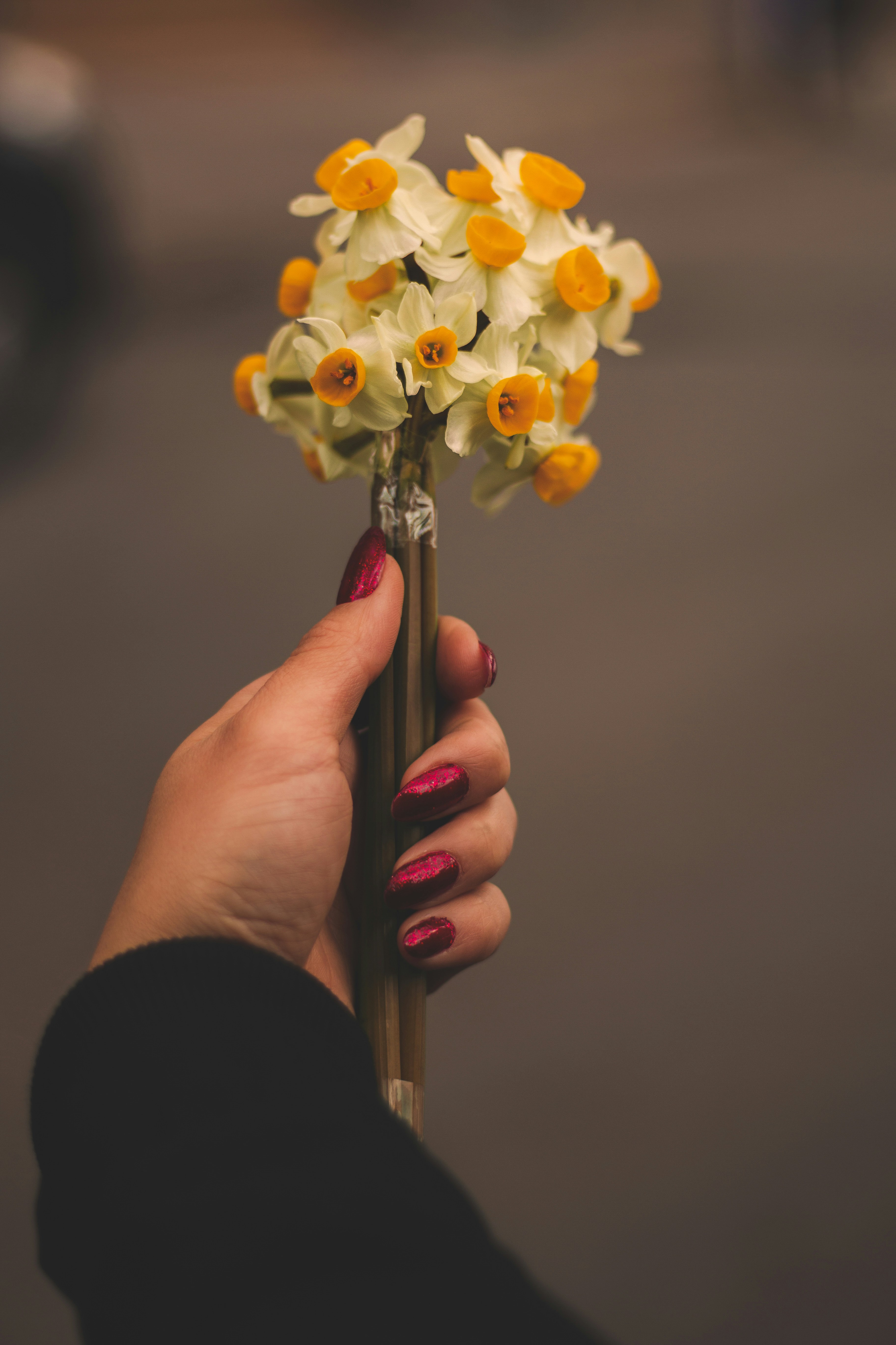 person holding yellow and white flowers