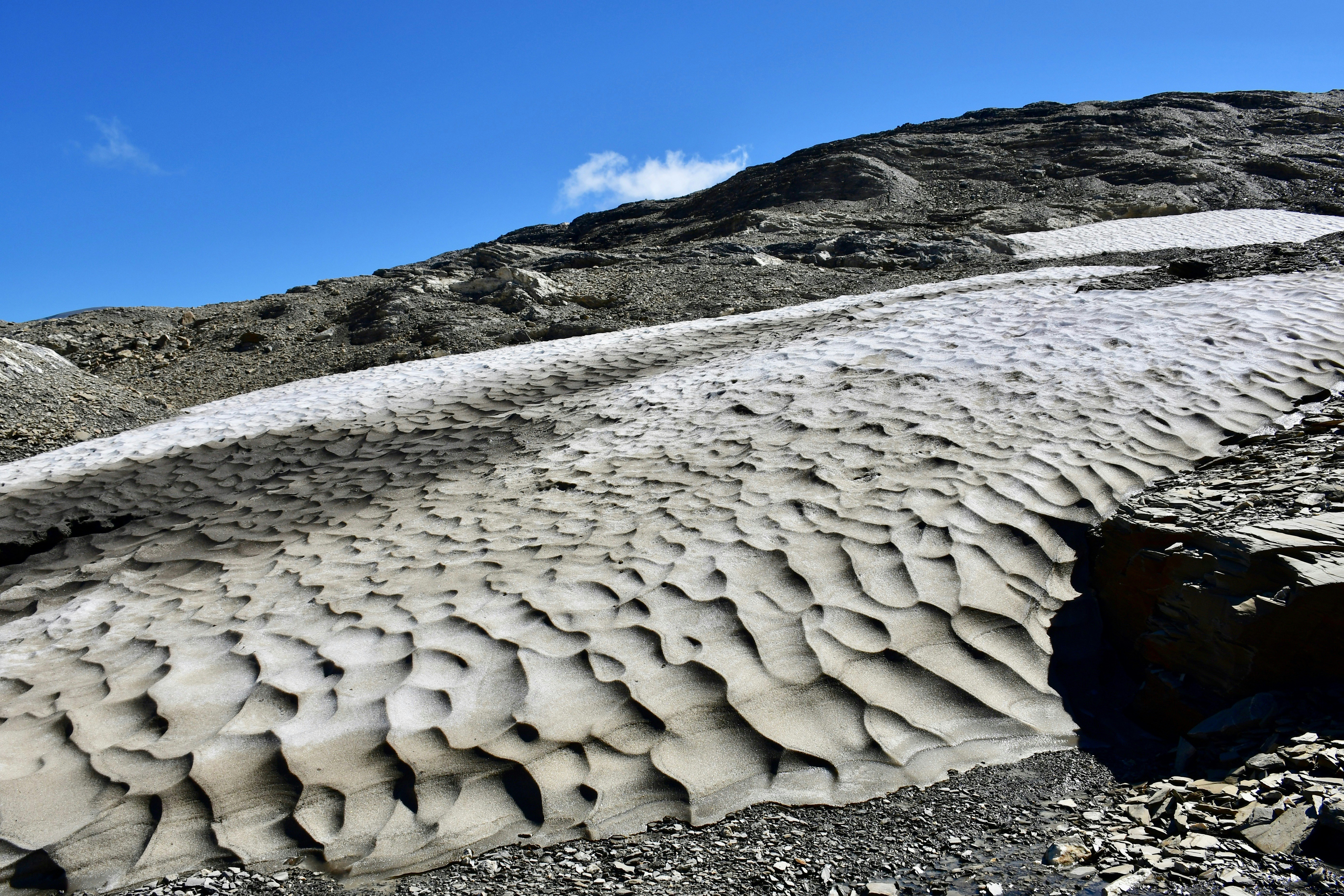 Whispers of the Frozen Earth