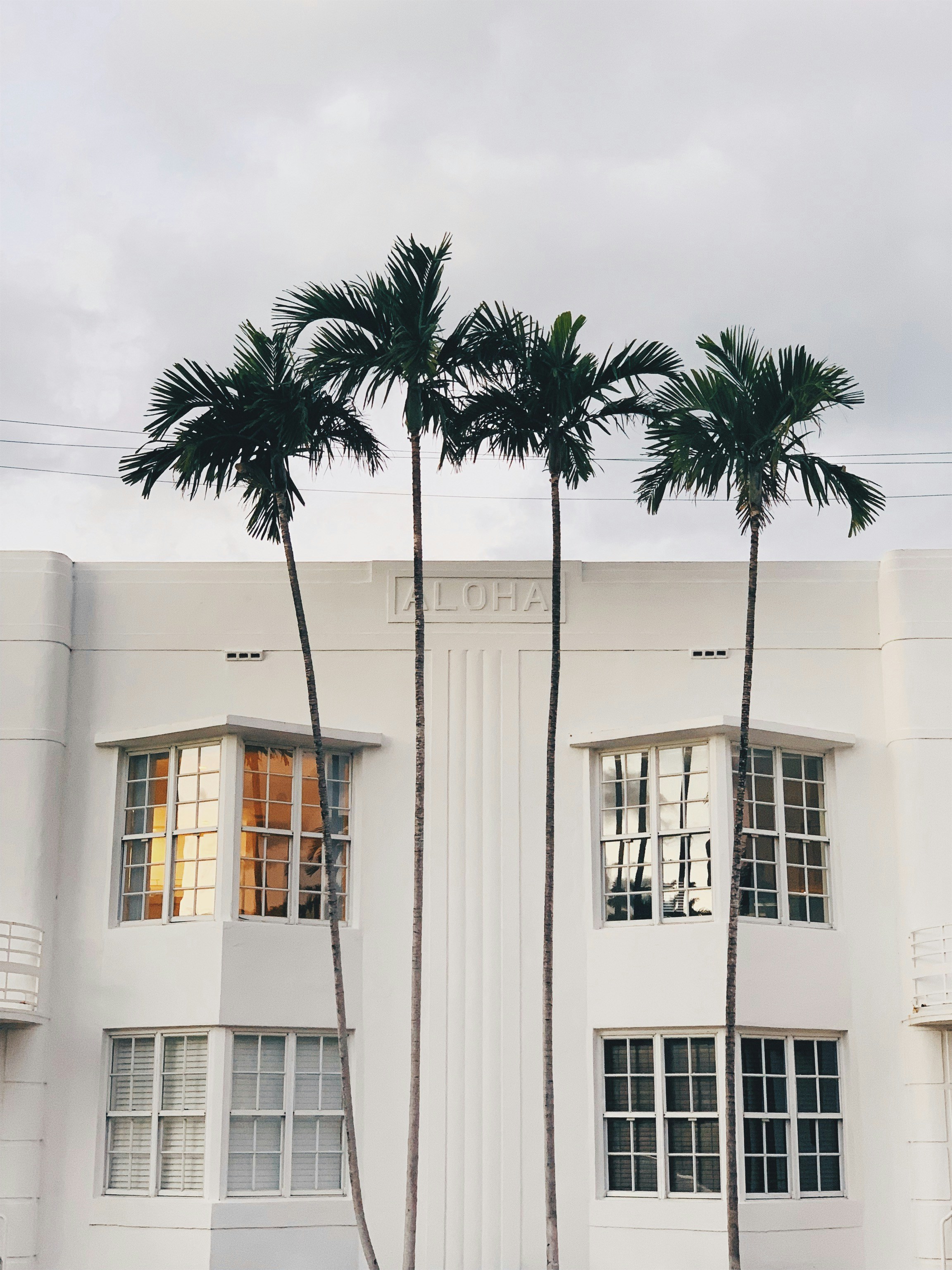 Tall palm trees stand gracefully in front of an Art Deco building featuring the word 'ALOHA' etched above the windows.
