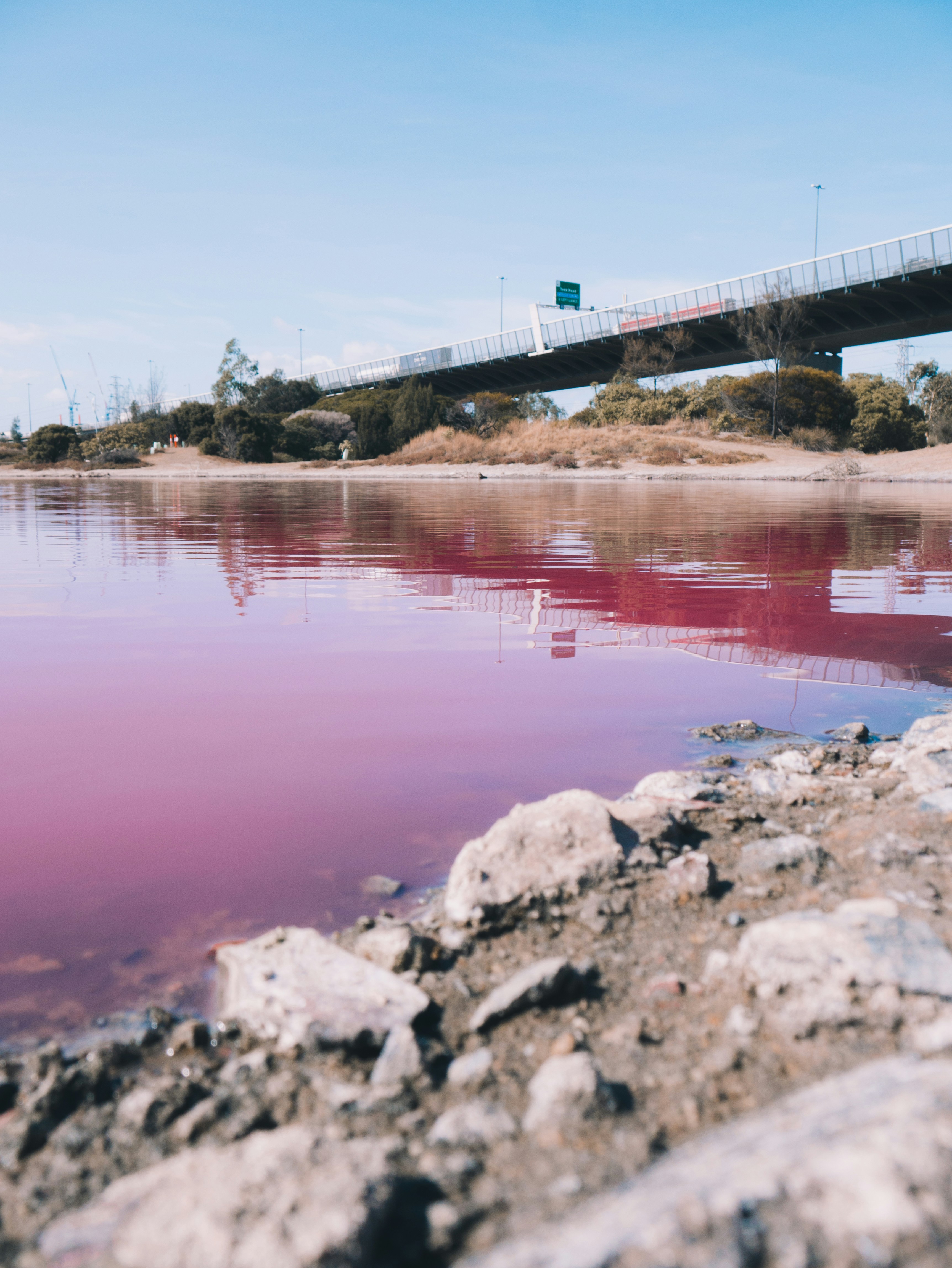 Rosy River Reflections Under a Quiet Overpass
