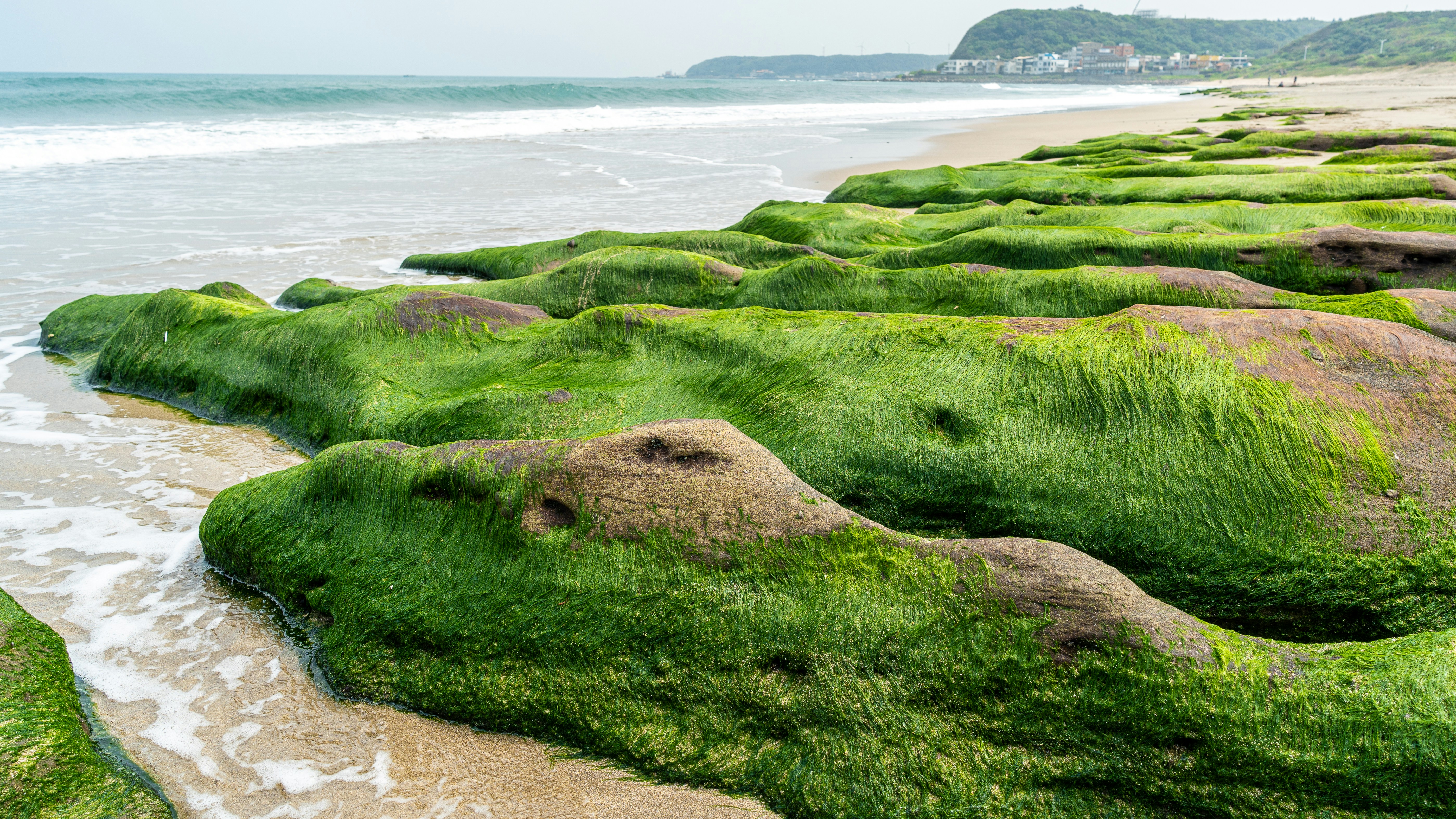 Moss-Covered Shoreline: Green Rock Ribbons Stretch Toward the Sea