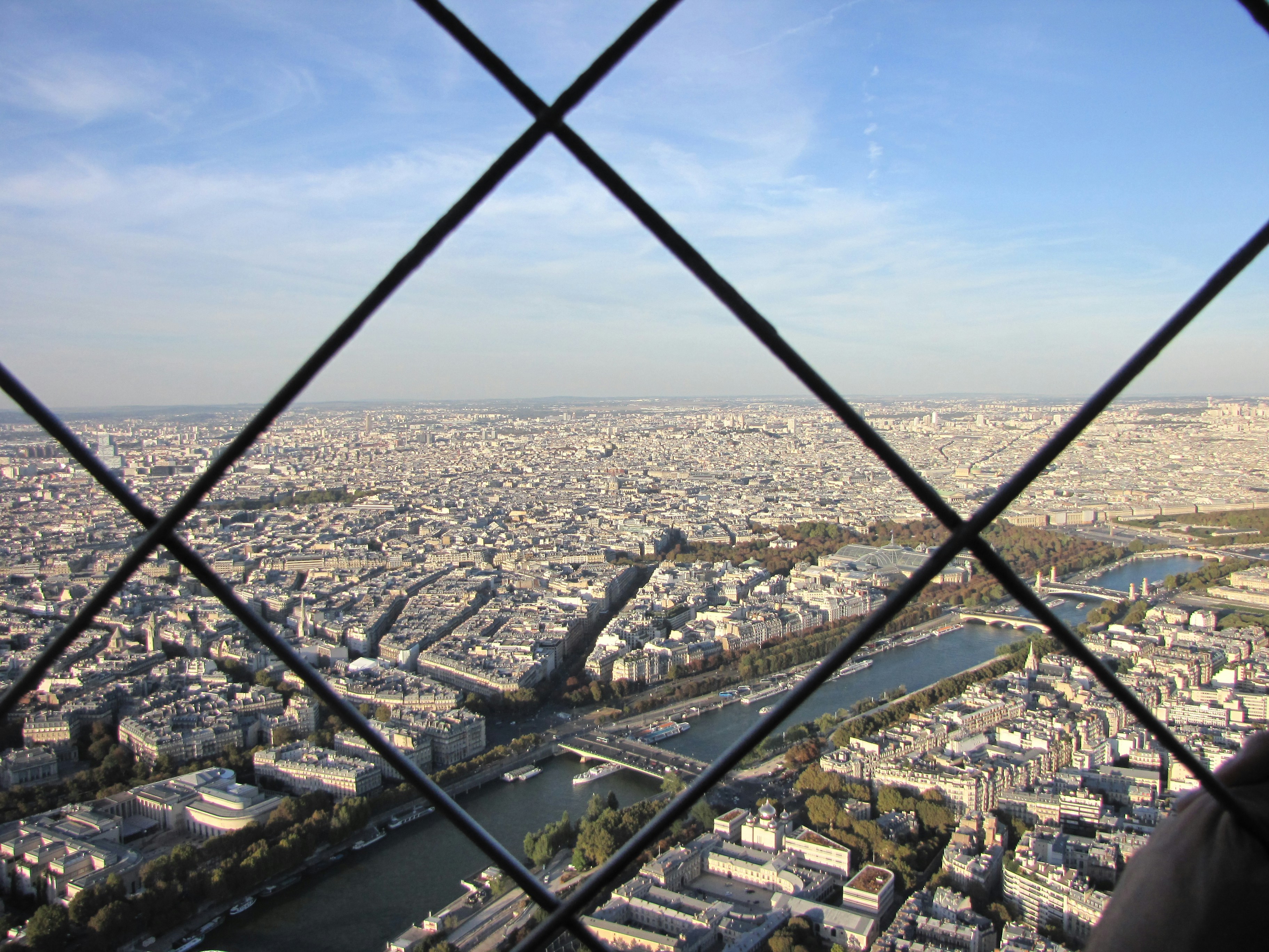 Cityscape viewed through a diamond-patterned fence, with a winding river cutting through dense urban blocks.