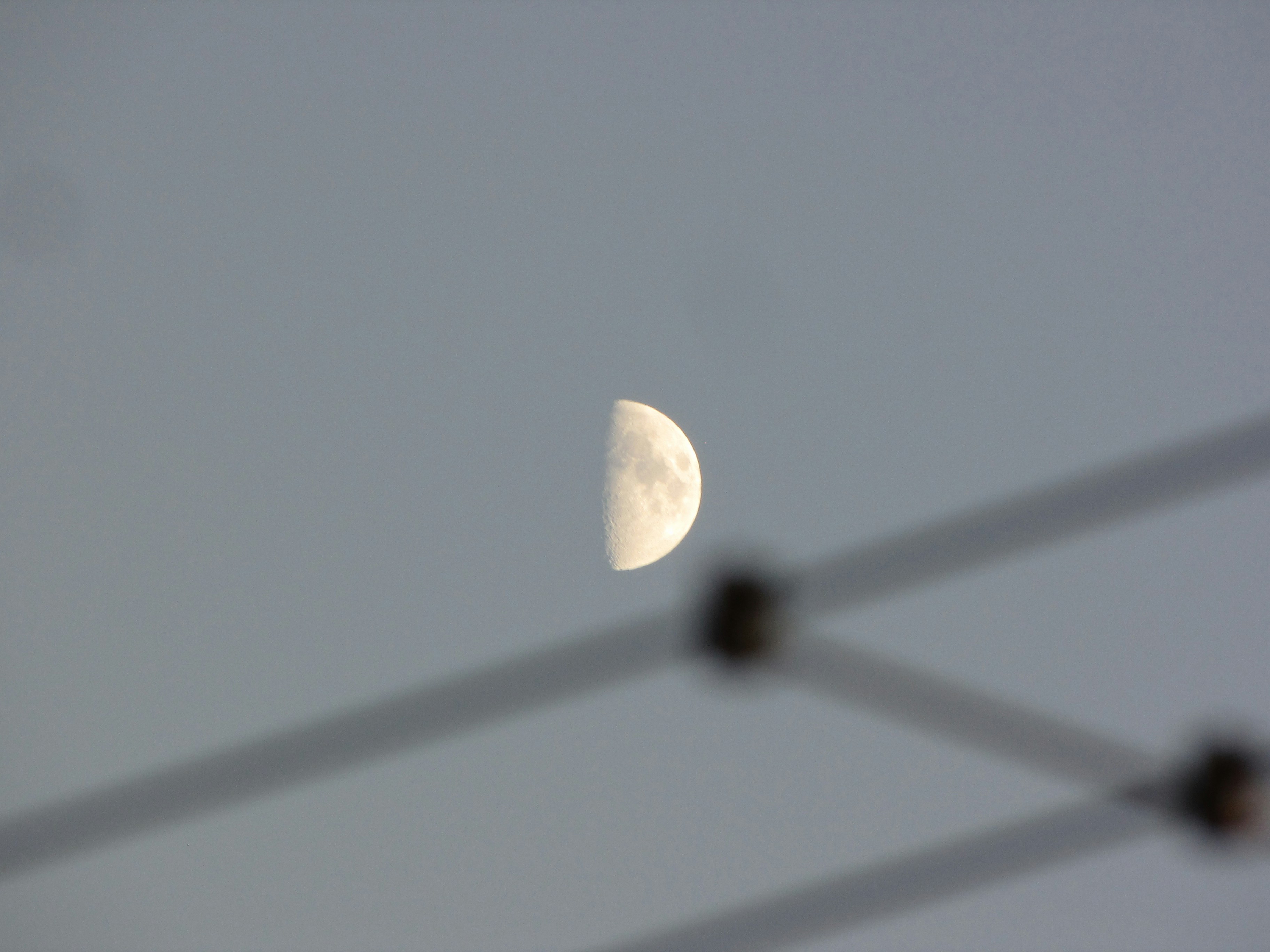 A half-moon glows in a pale blue sky, with crisscrossed wires in the foreground rendered as soft blur.