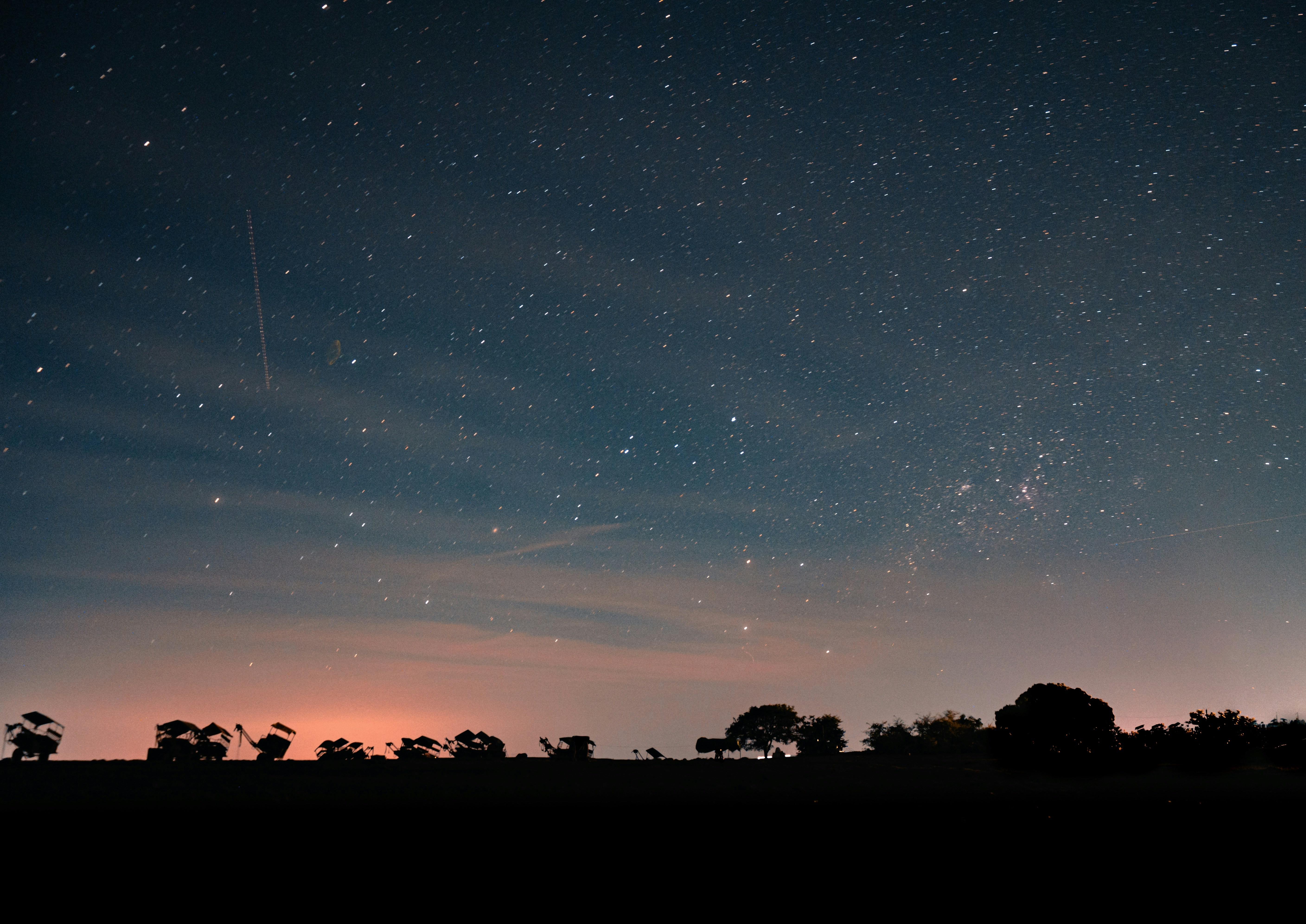 Vast night sky adorned with twinkling stars and a faint celestial glow, silhouetted trees create a tranquil foreground.