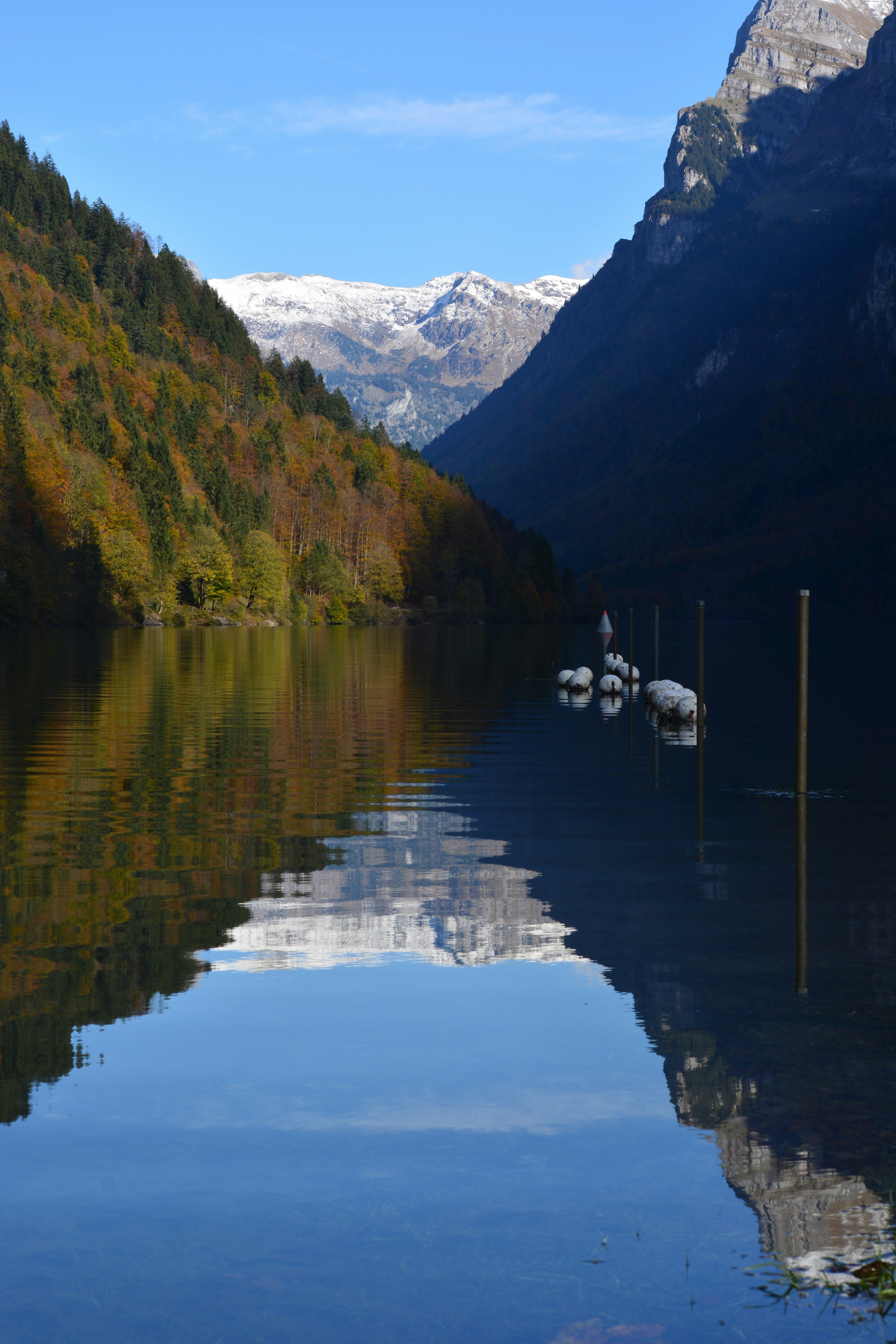 Serene lake reflecting vibrant autumn foliage and snow-capped mountains, with swans gliding gracefully on the water's surface.