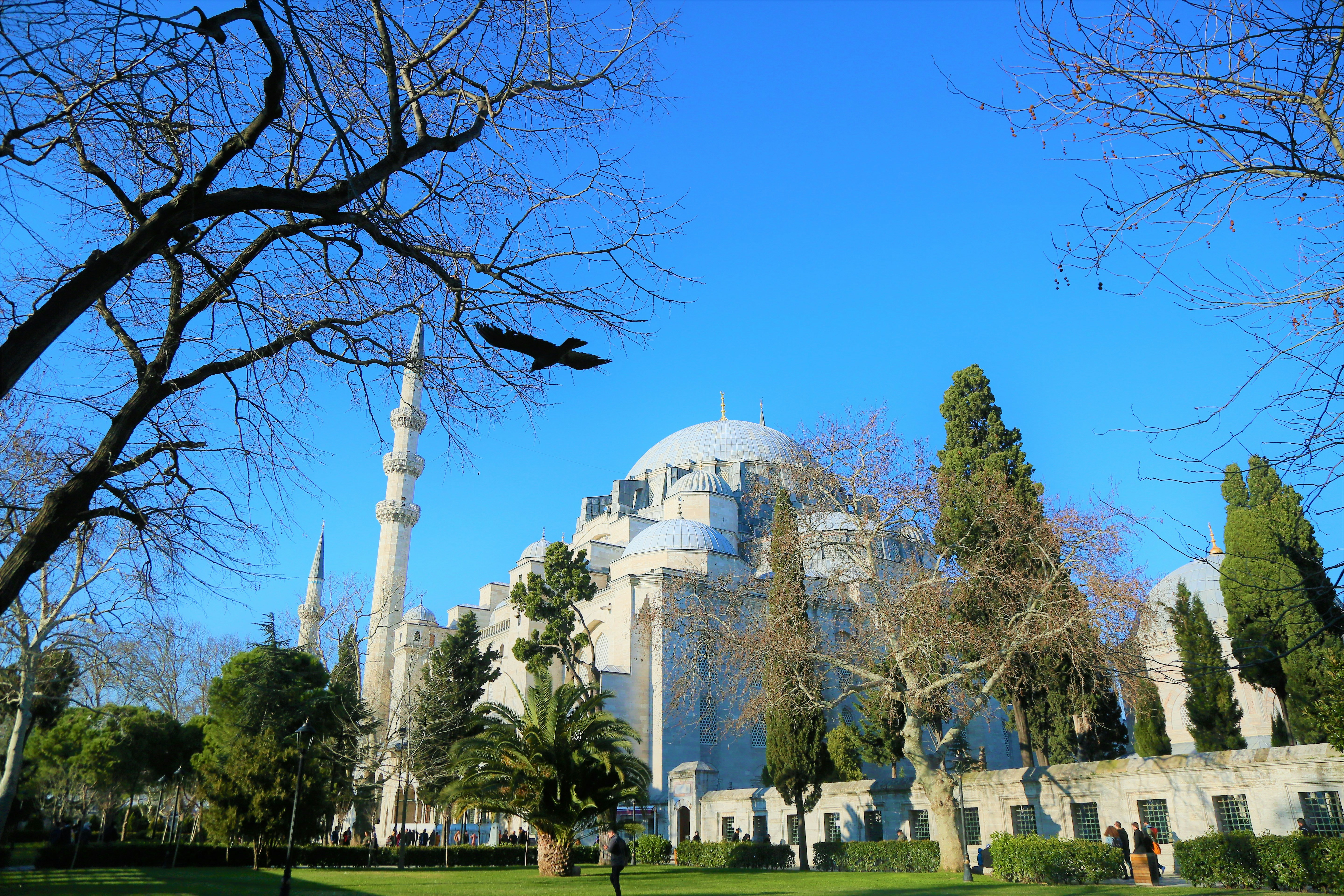 White dome building near bare trees during daytime photo – Free ...