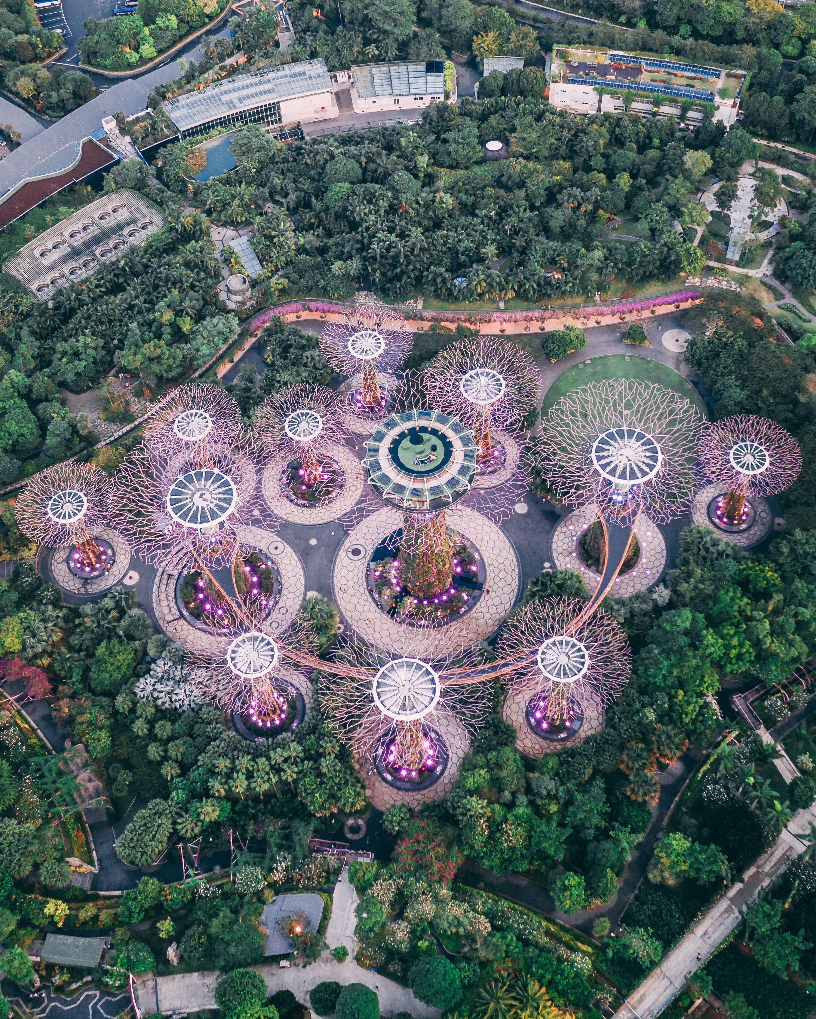 Aerial view of green trees and road photo – Free Grey Image on Unsplash