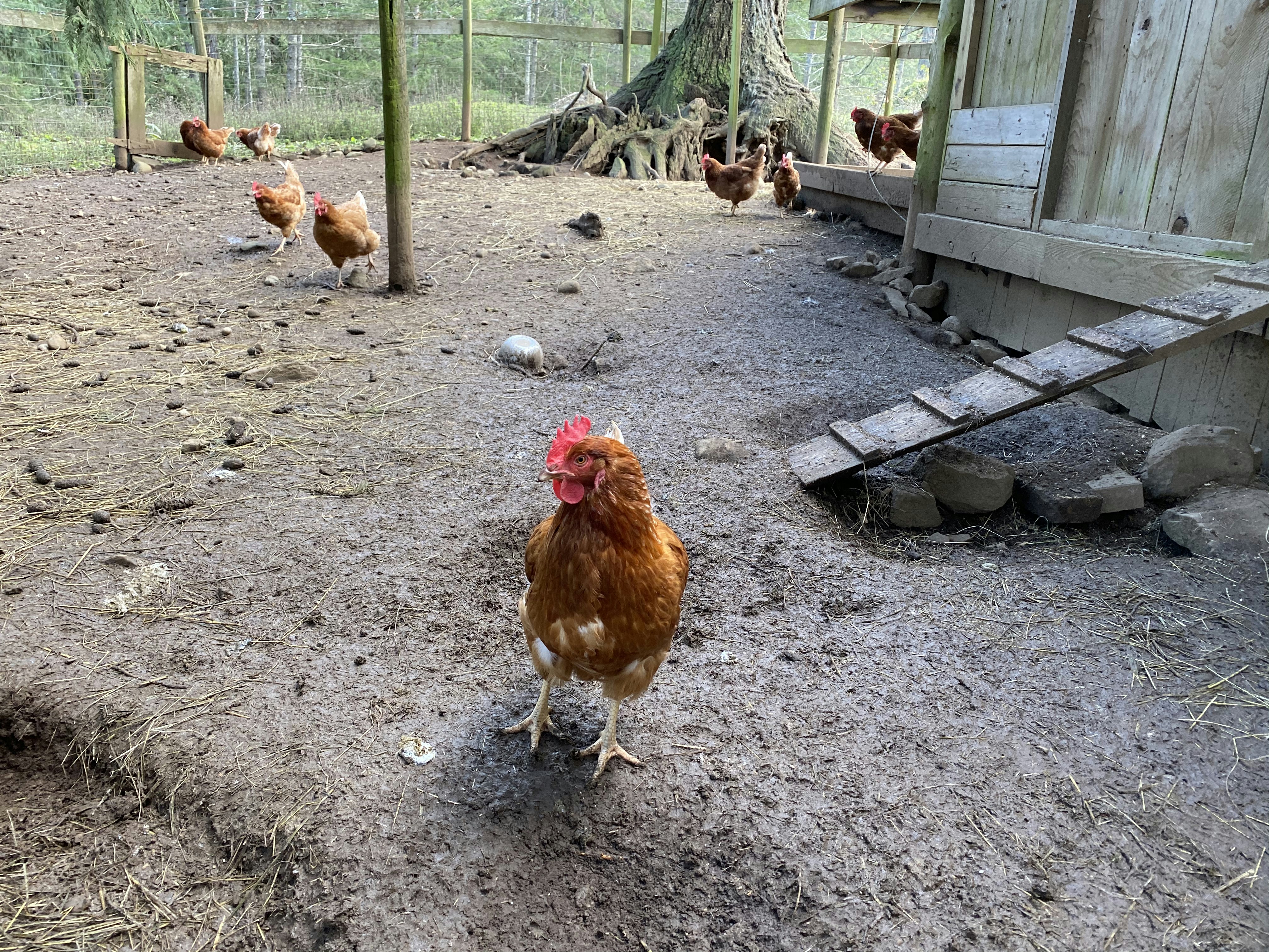 Thiago Feracini (@blizzard_ice) | Communauté photos Unsplash