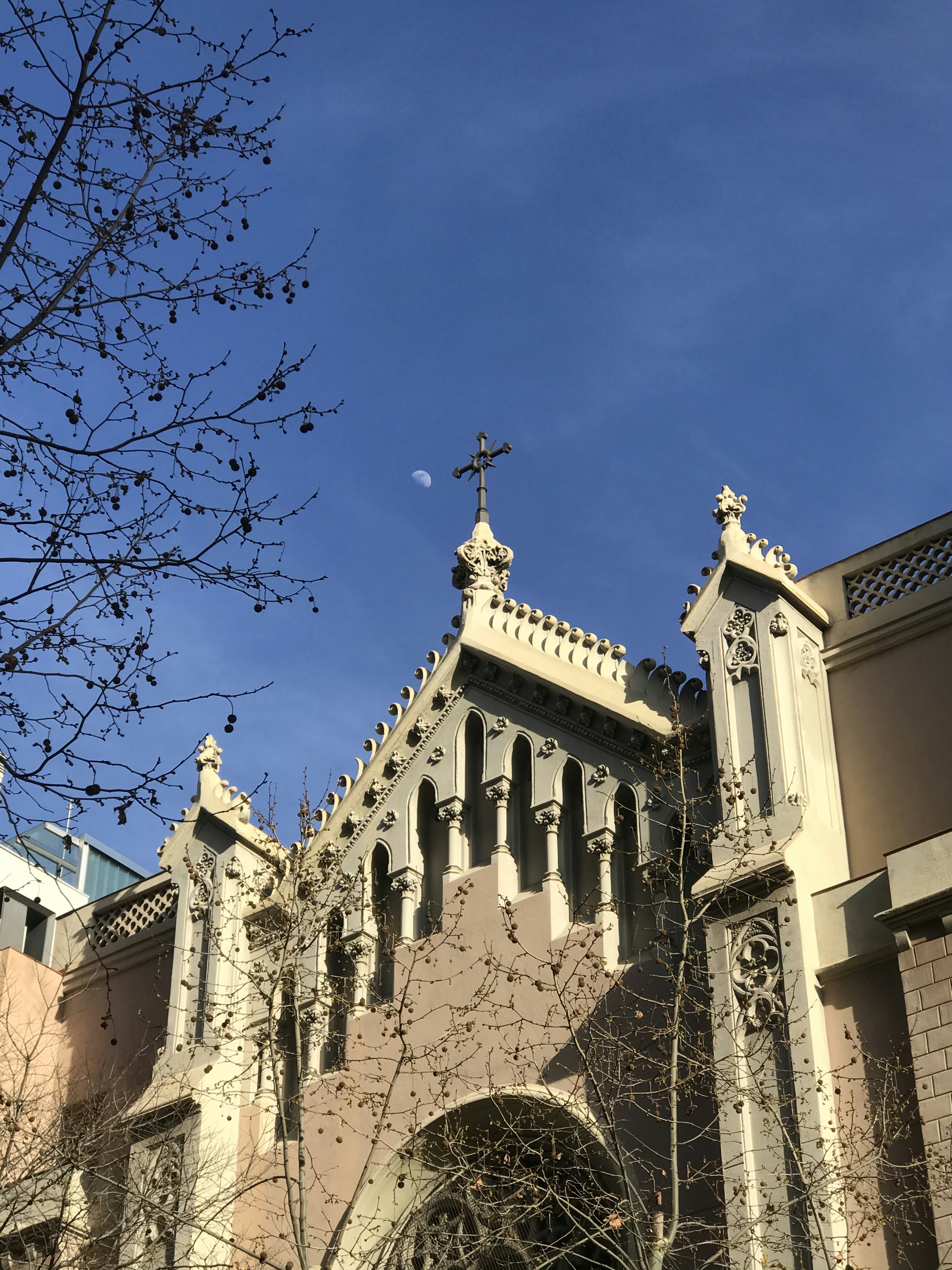Bare tree in front of white concrete building photo – Free Barcelona ...