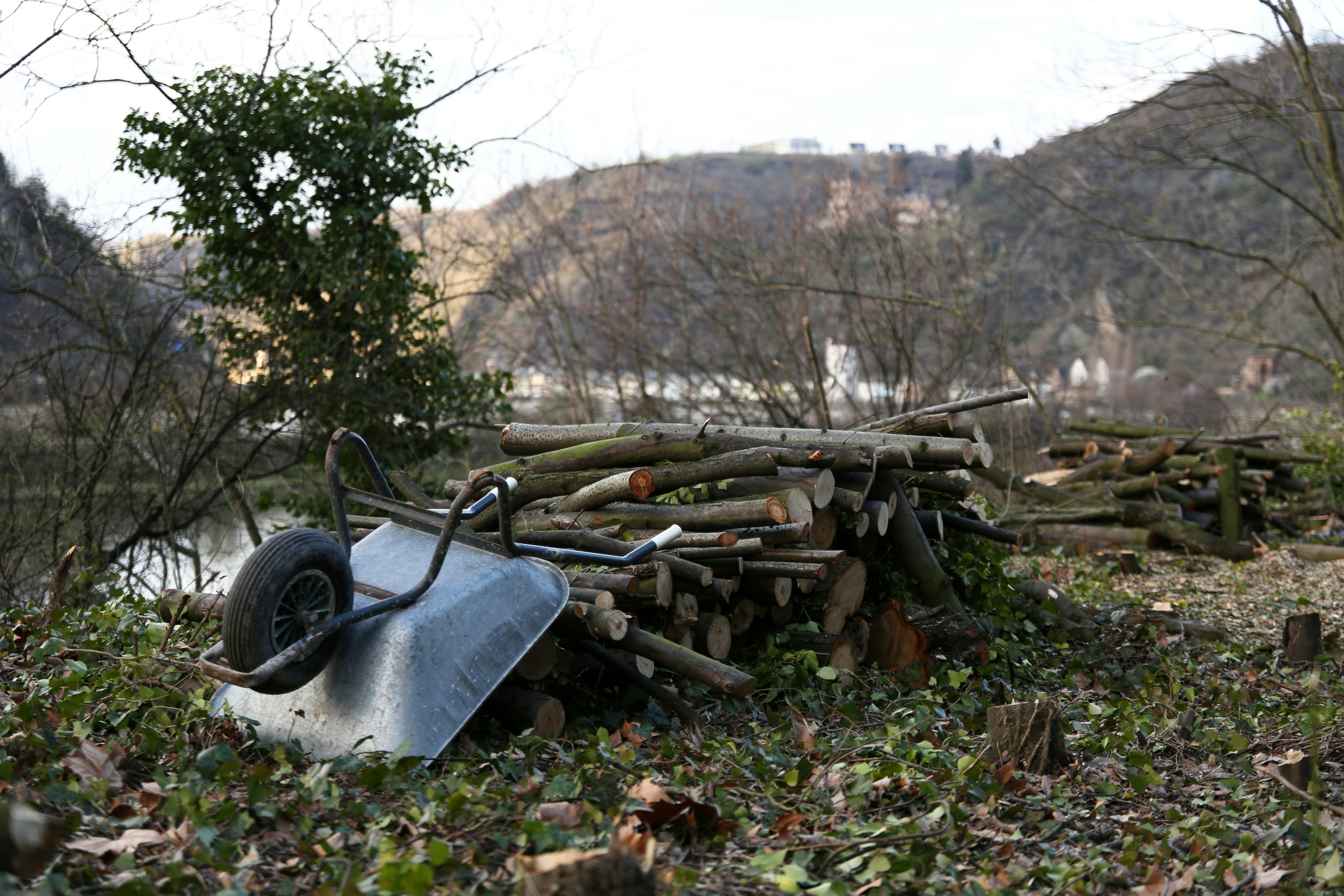 Wheelbarrow Guarding the Timber by a Quiet Riverside Clearing