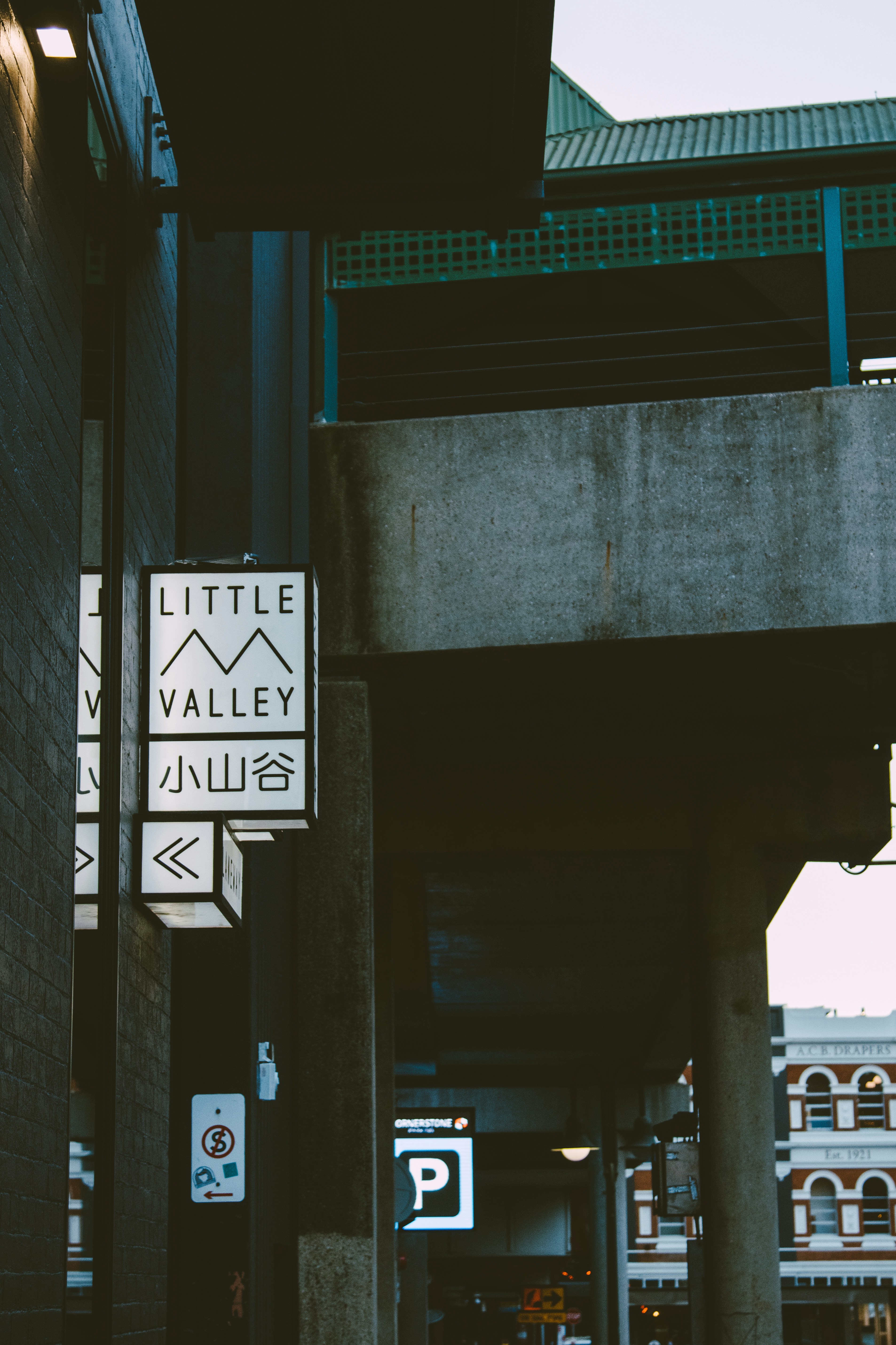 Urban Signage: A Glimpse into Little Valley