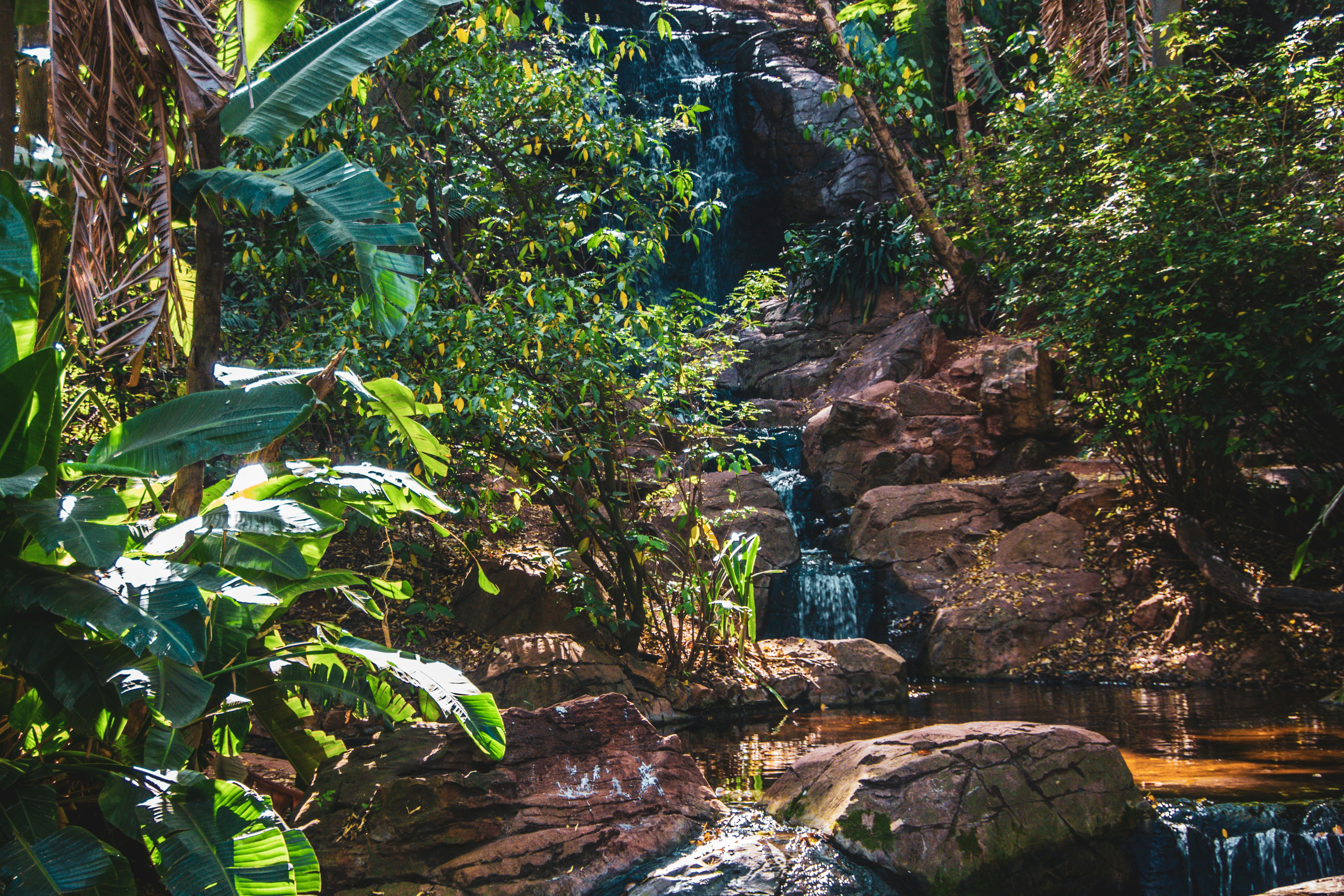 Sunlit waterfall surrounded by lush green foliage and rocky terrain.